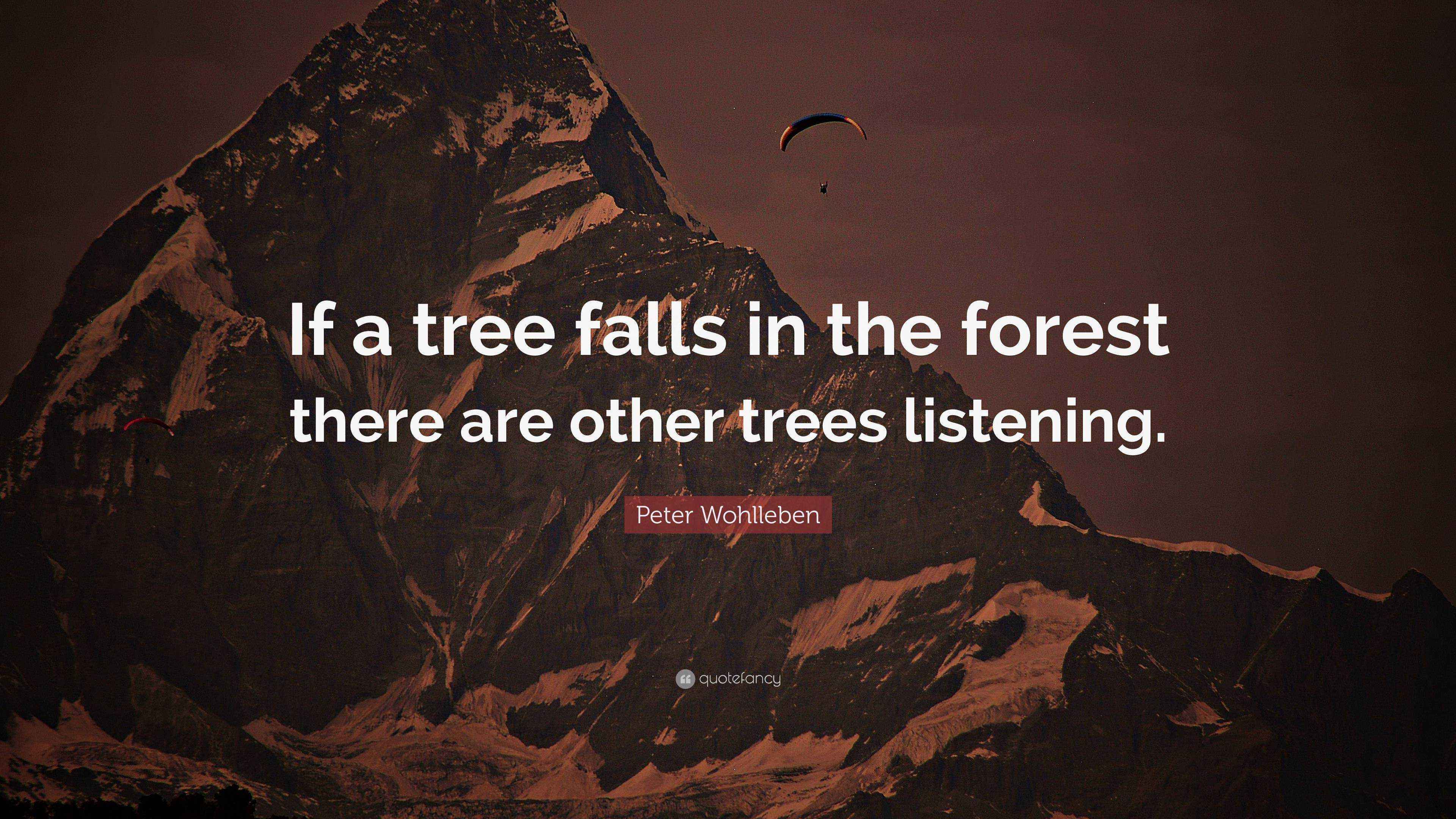 Peter Wohlleben Quote: “If a tree falls in the forest there are other ...