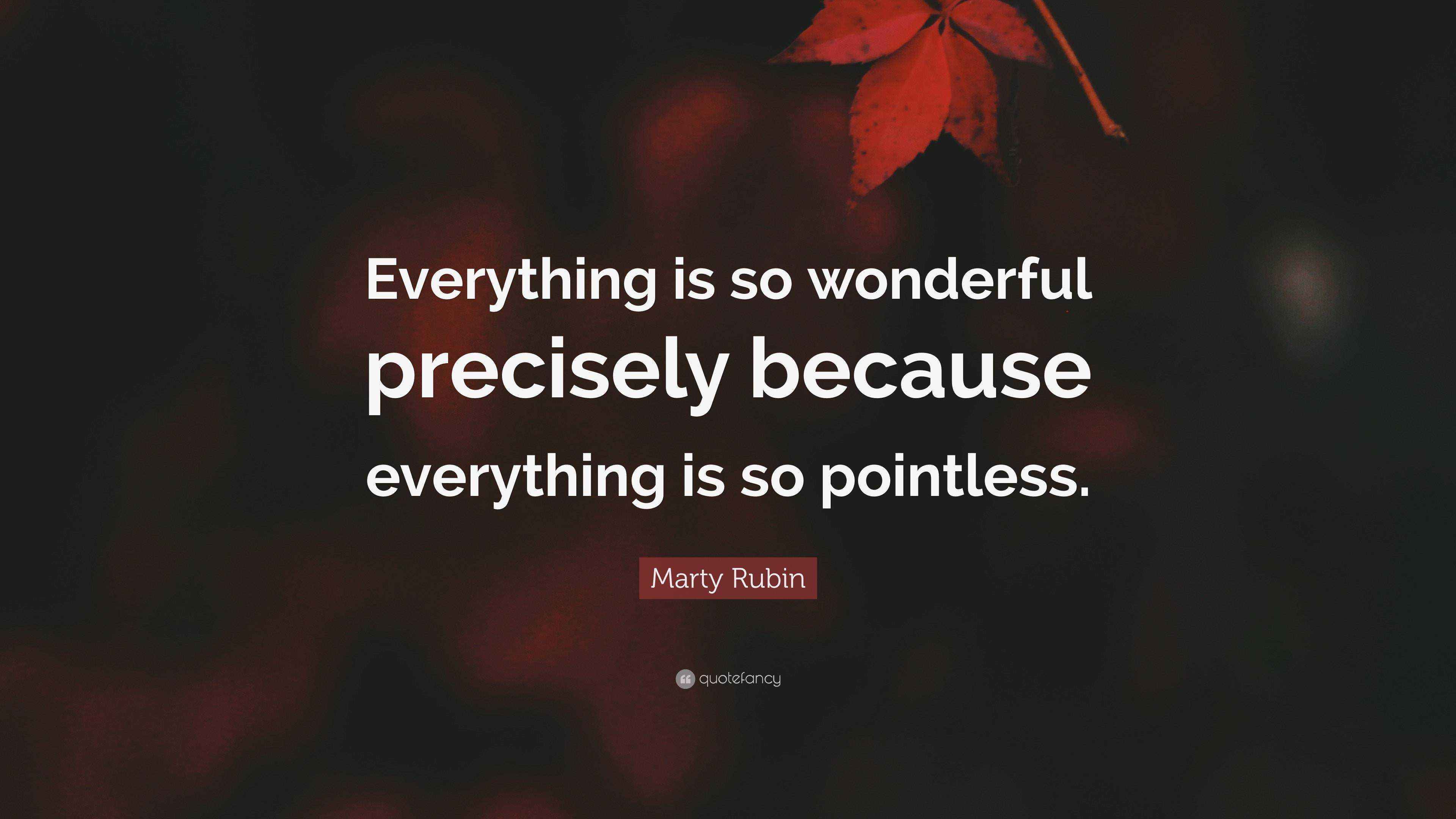 Marty Rubin Quote: “Everything is so wonderful precisely because ...