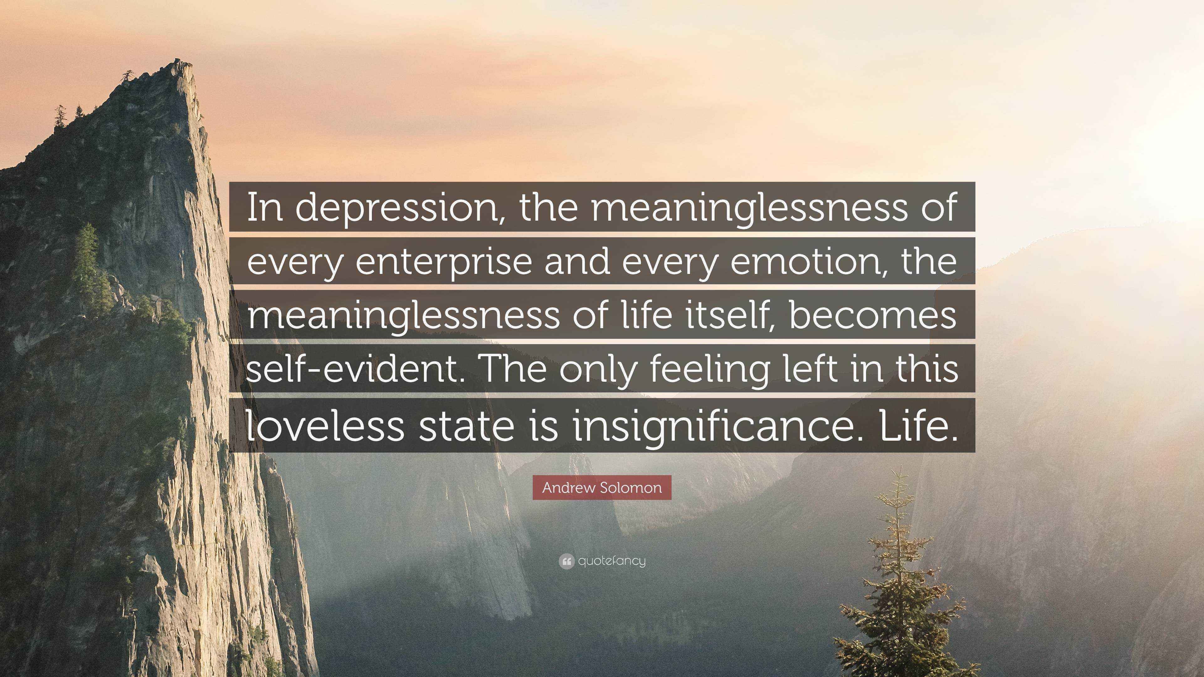Andrew Solomon Quote: “In depression, the meaninglessness of every ...