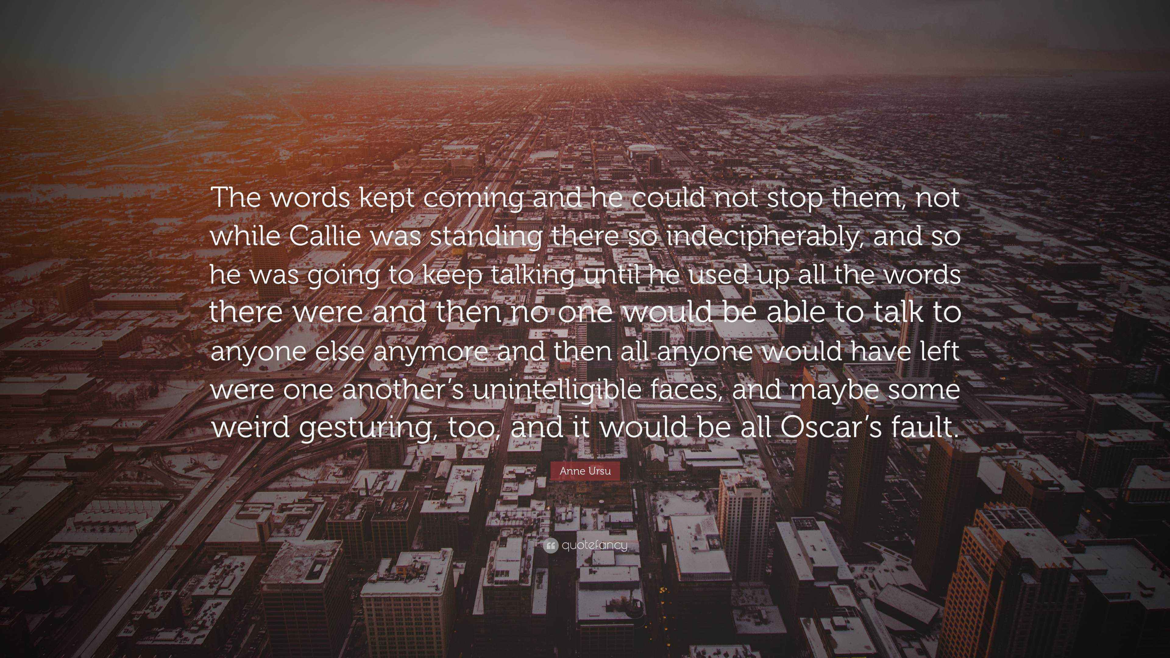 Anne Ursu Quote: “The words kept coming and he could not stop them, not ...