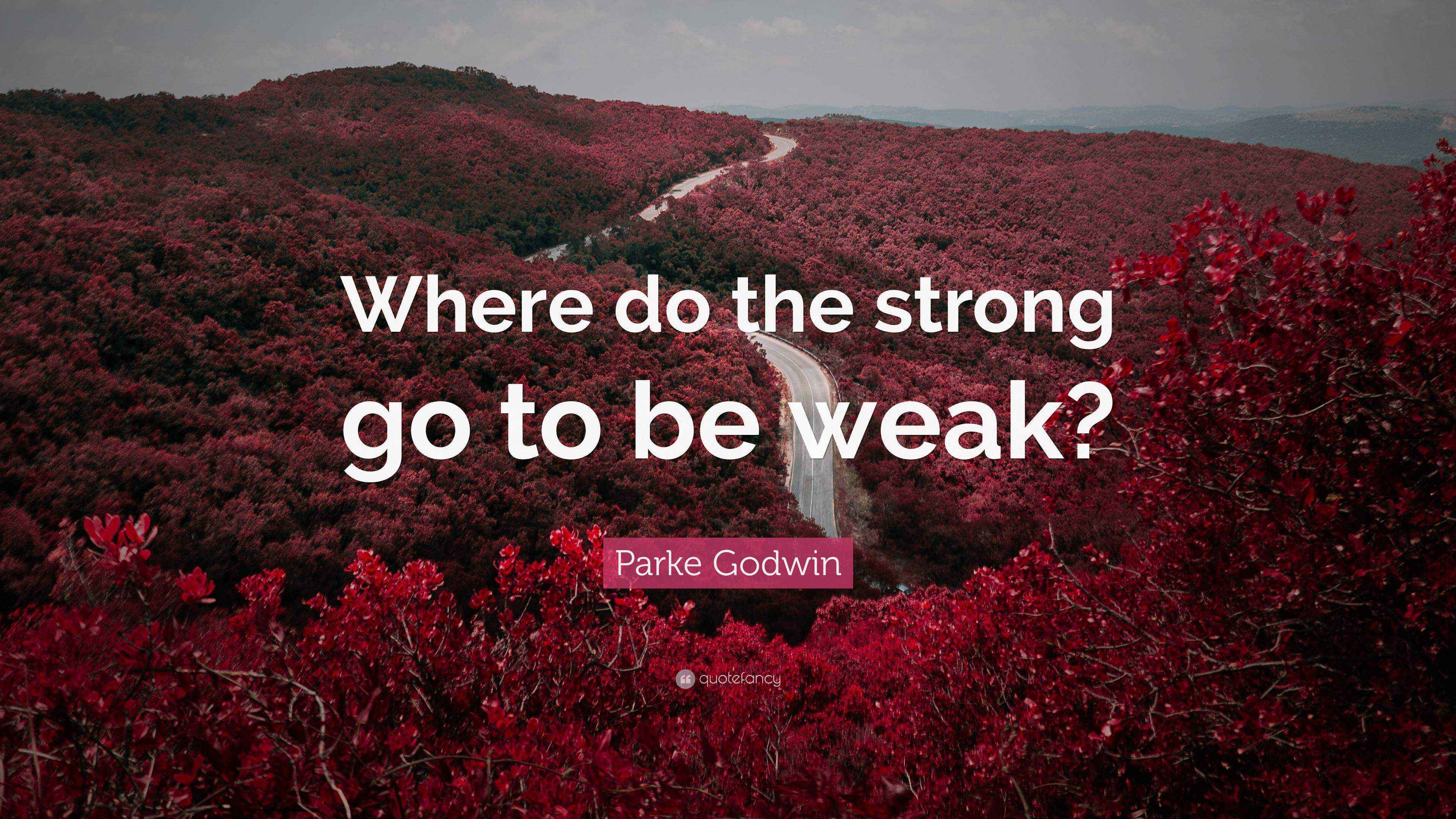 Parke Godwin Quote: “Where do the strong go to be weak?”