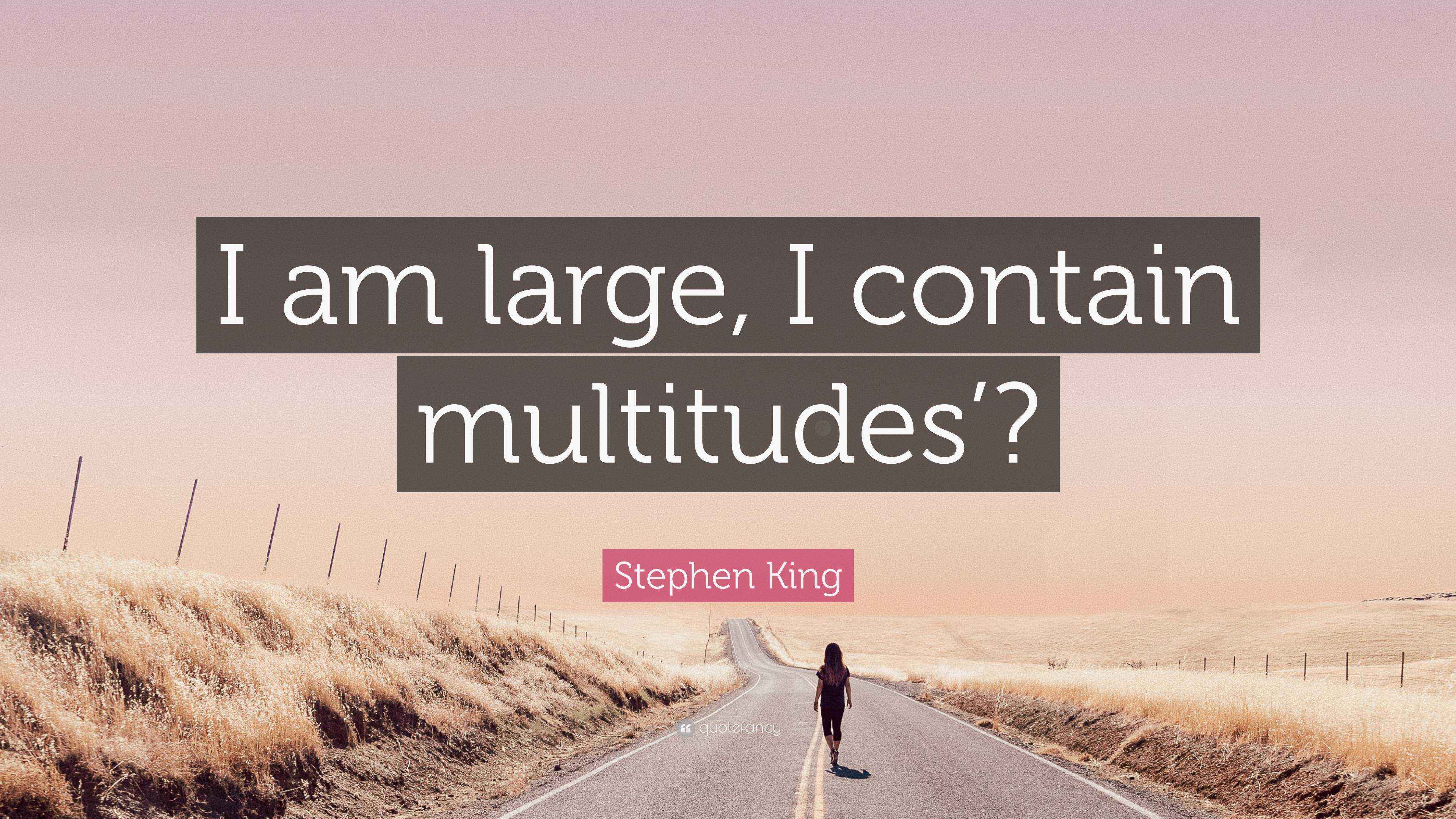 Stephen King Quote: “I am large, I contain multitudes’?”