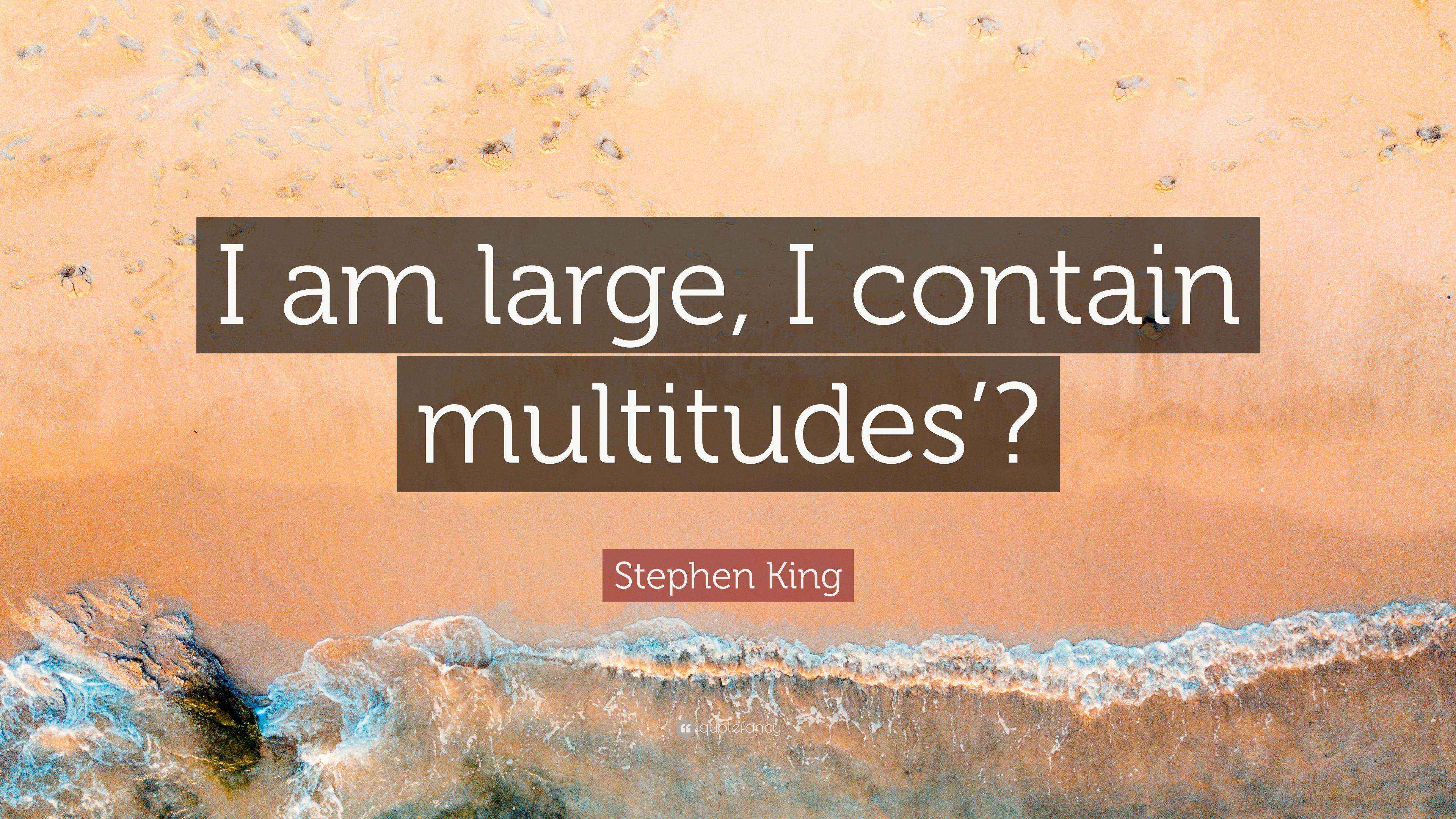 Stephen King Quote: “I am large, I contain multitudes’?”
