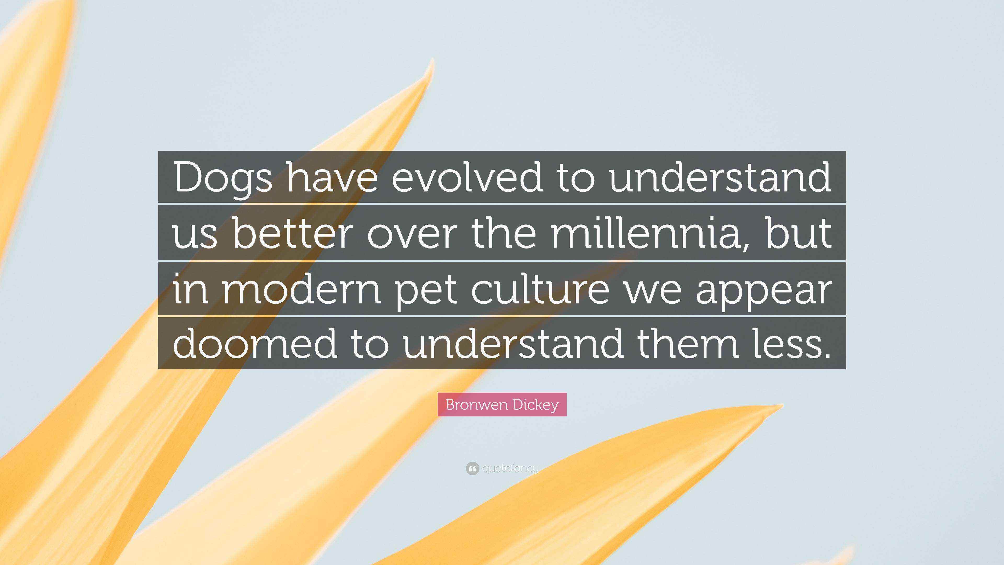 Bronwen Dickey Quote: “Dogs have evolved to understand us better over ...