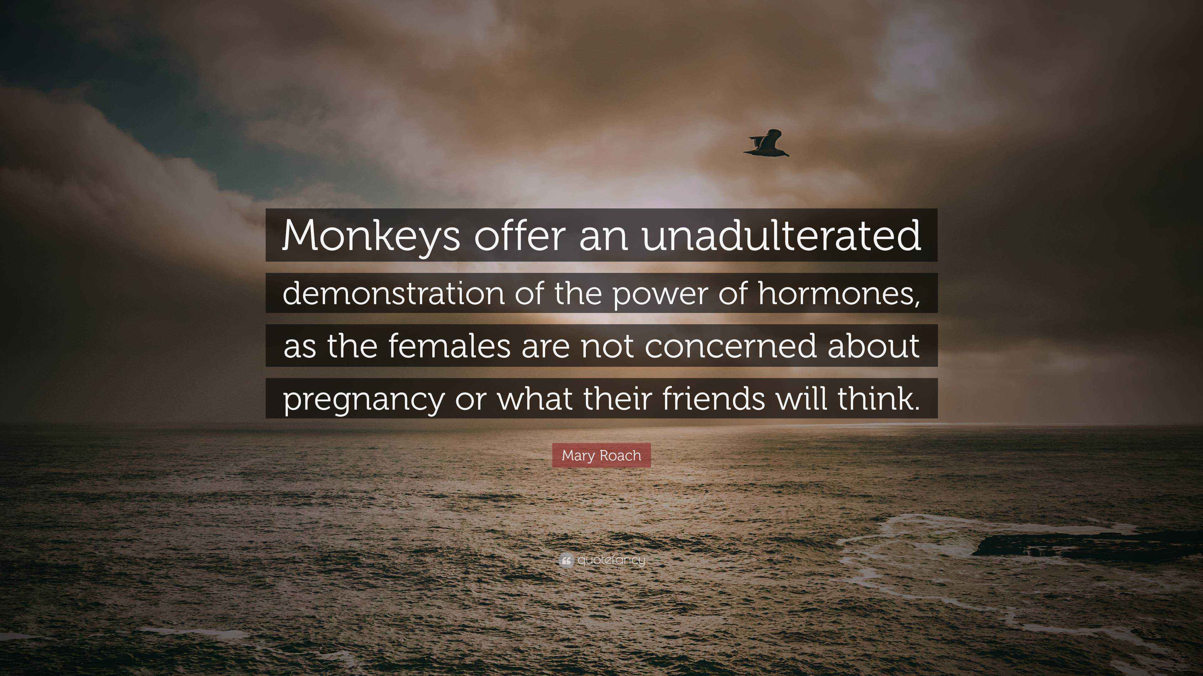 Mary Roach Quote: “Monkeys offer an unadulterated demonstration of the ...