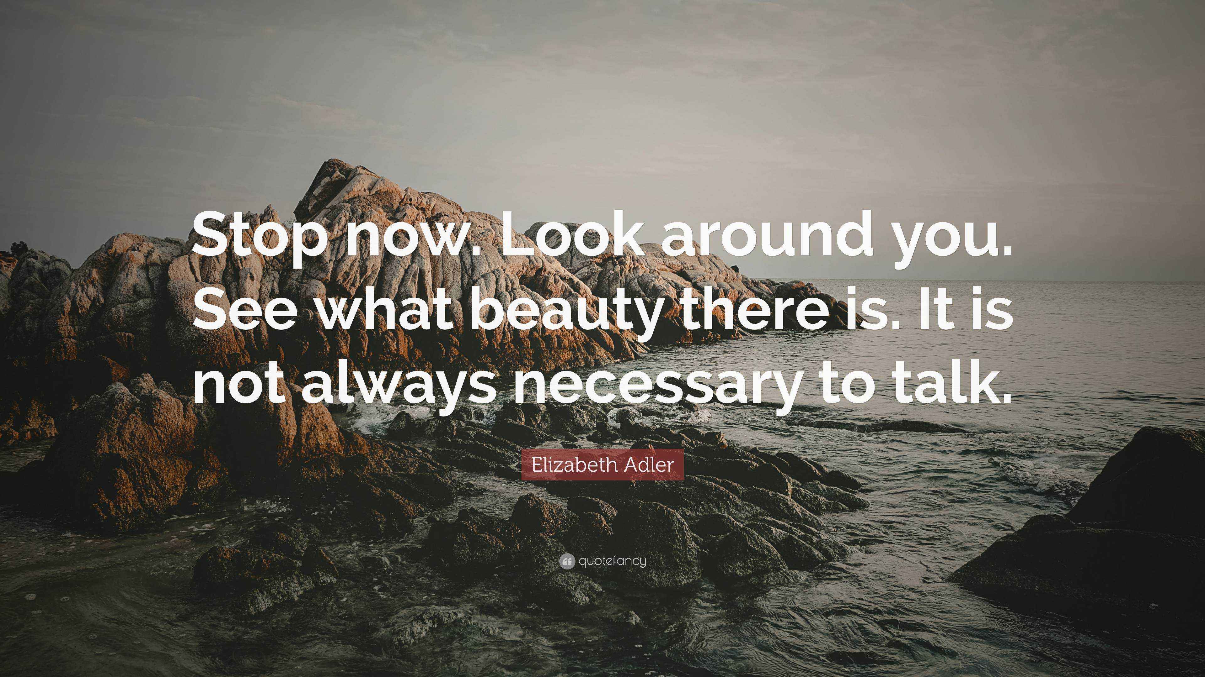 Elizabeth Adler Quote: “Stop now. Look around you. See what beauty ...