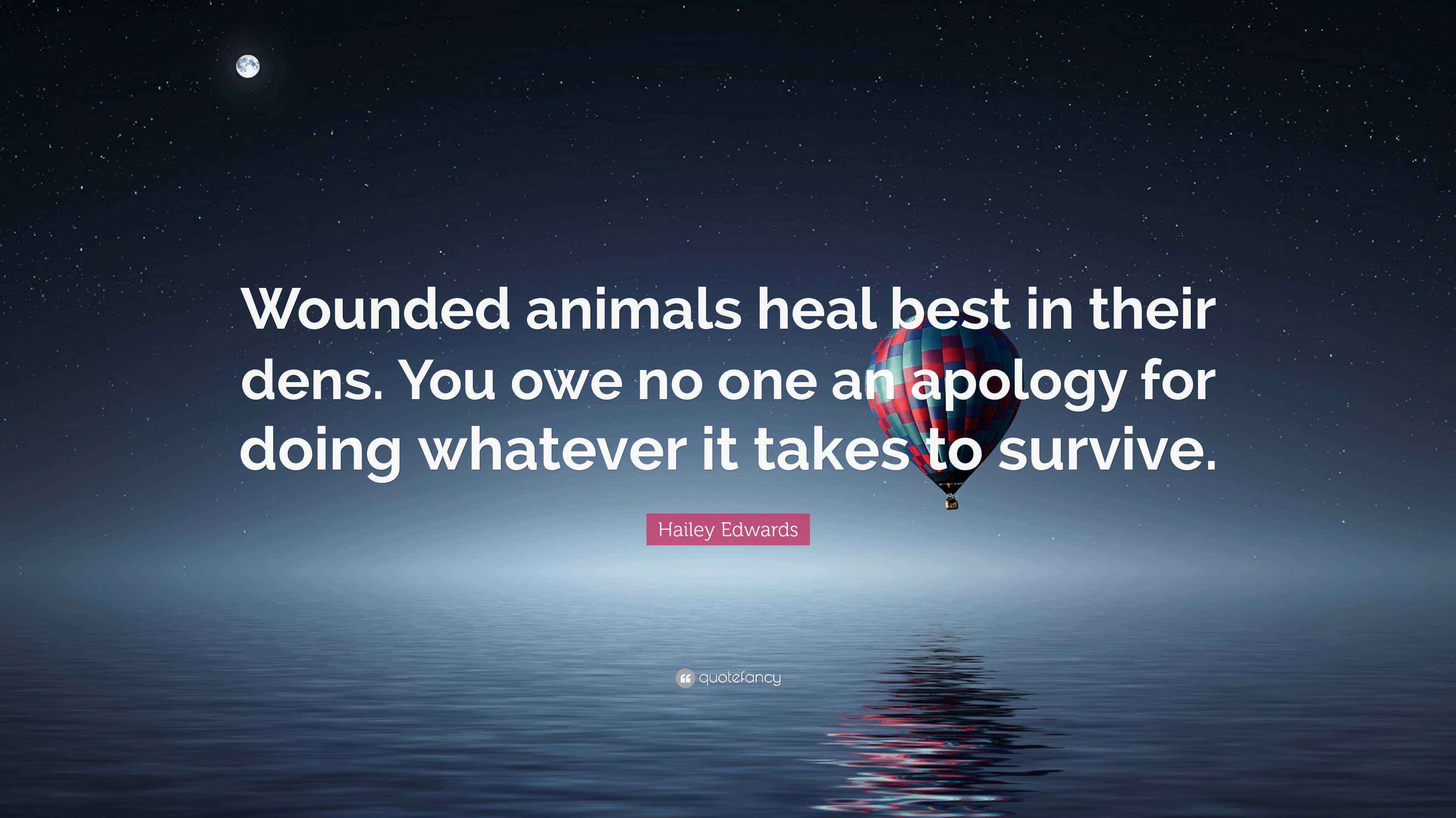 Hailey Edwards Quote: “Wounded animals heal best in their dens. You owe ...