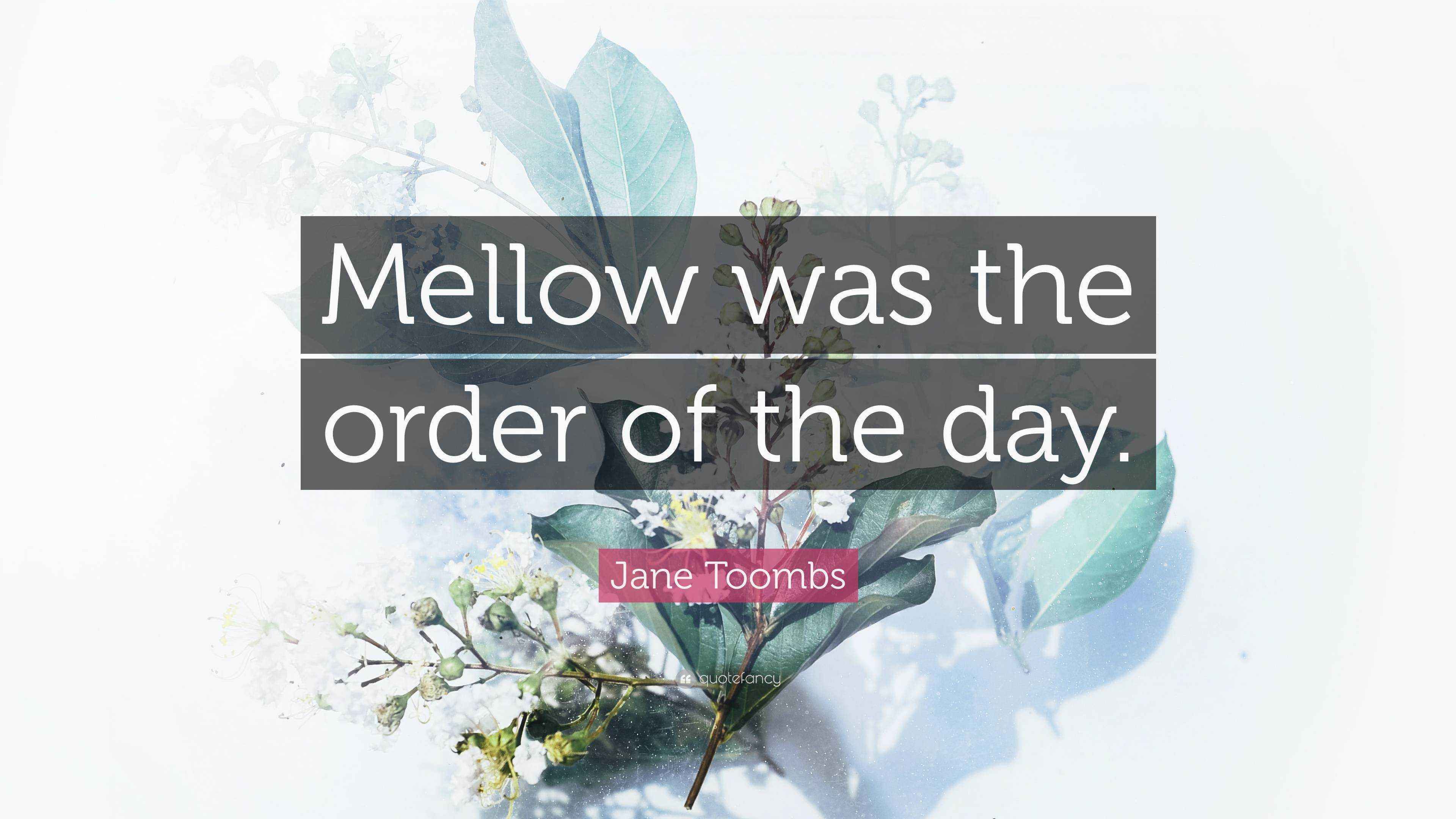 Jane Toombs Quote: “Mellow was the order of the day.”