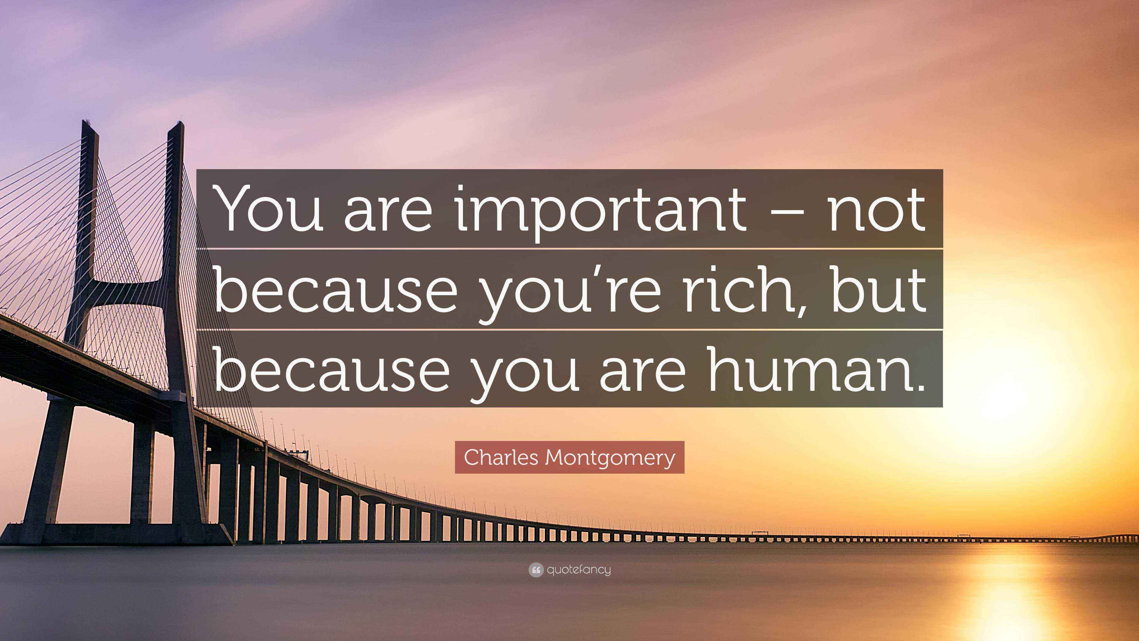 Charles Montgomery Quote: “You are important – not because you’re rich ...