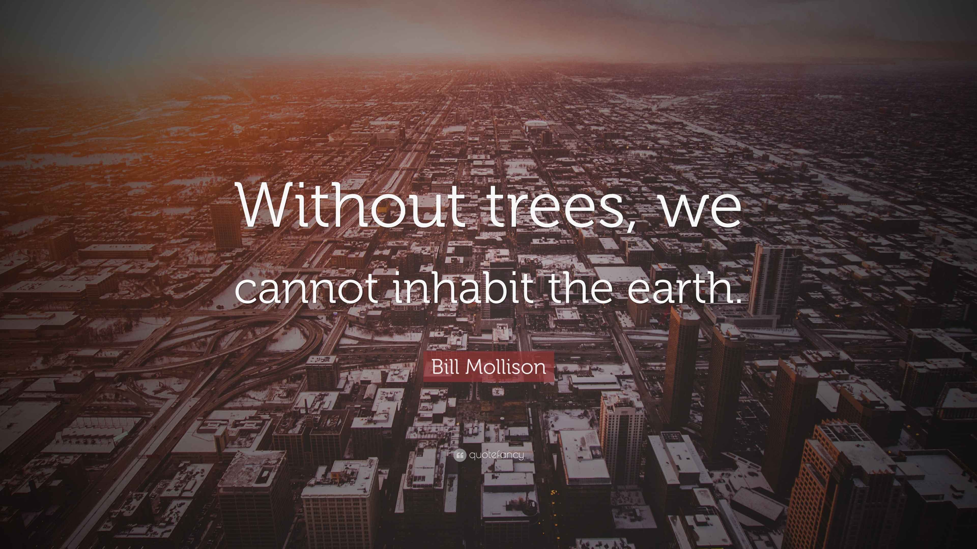 Bill Mollison Quote: “Without trees, we cannot inhabit the earth.”