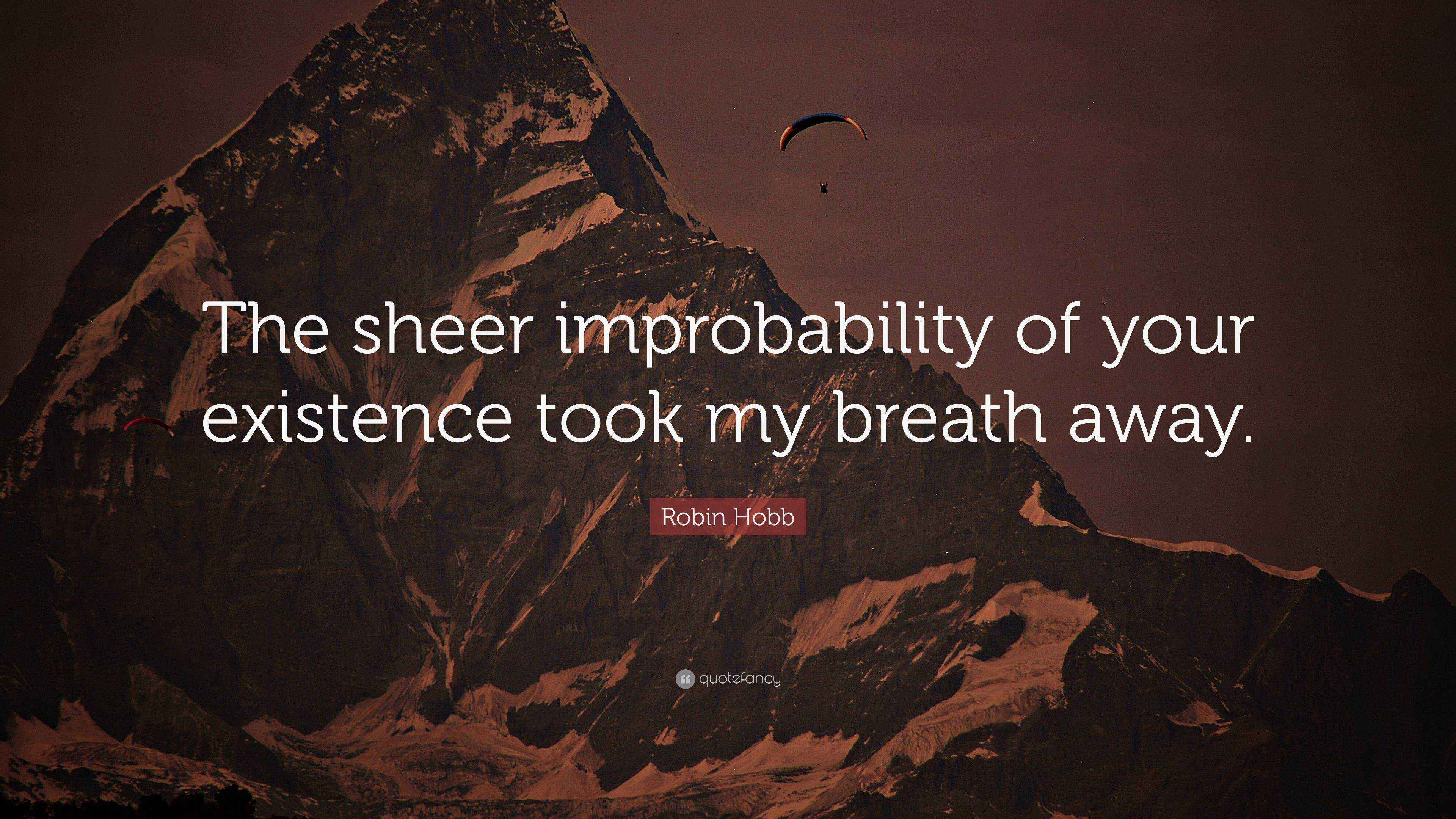 Robin Hobb Quote: “The sheer improbability of your existence took my ...