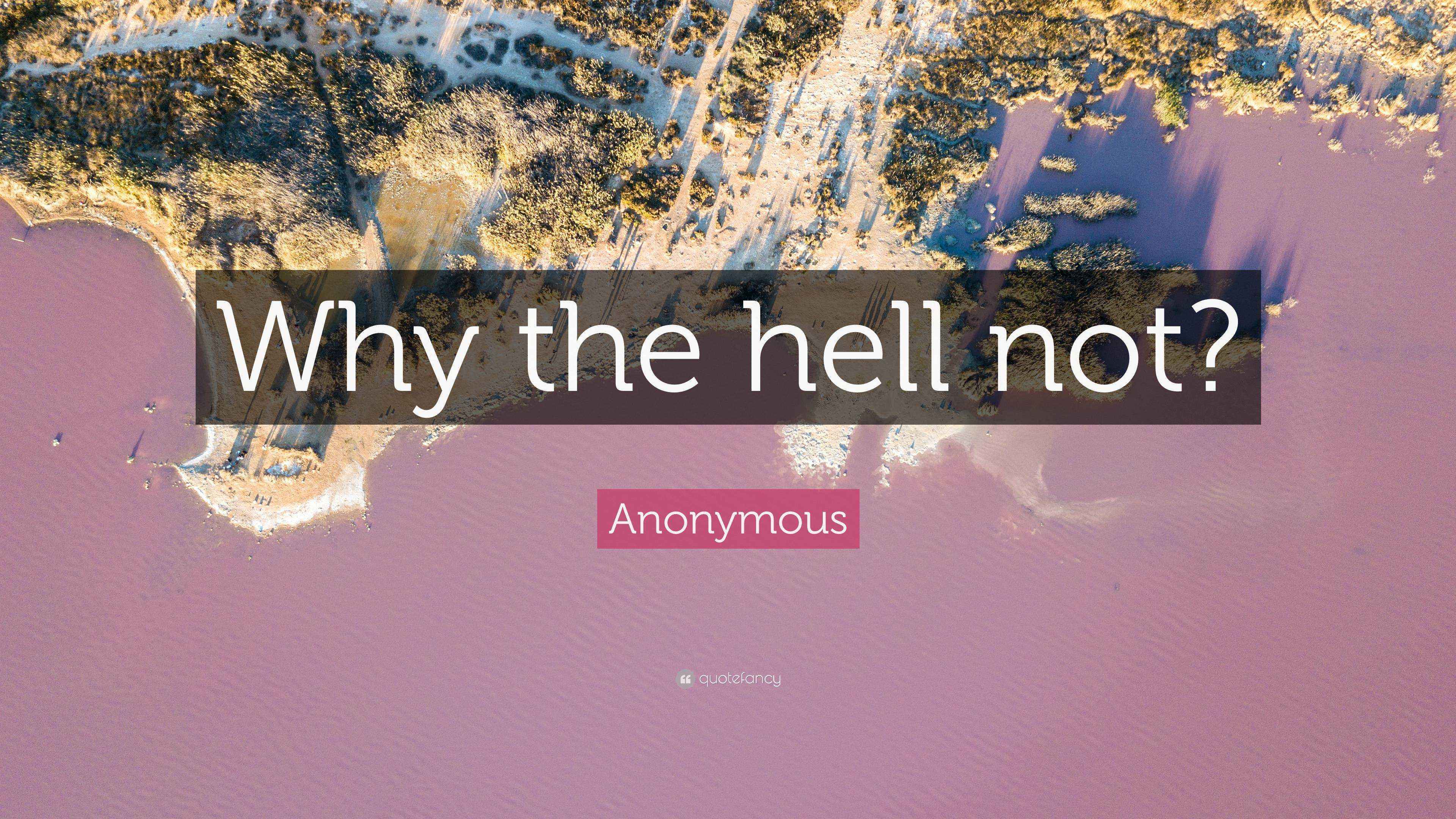 Anonymous Quote: “Why the hell not?”