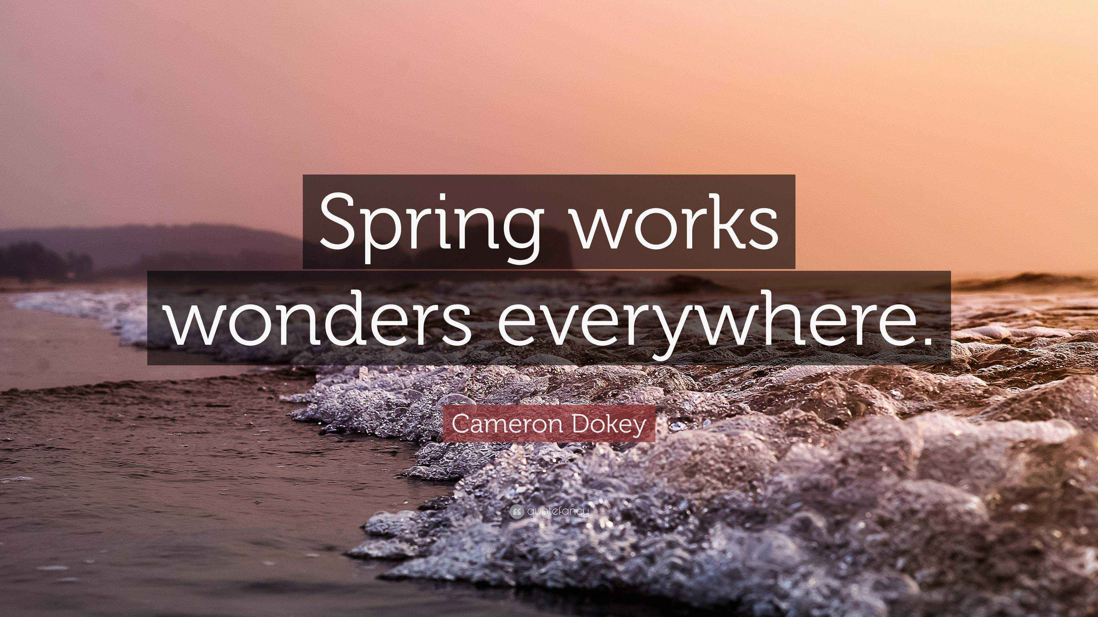 Cameron Dokey Quote: “Spring works wonders everywhere.”