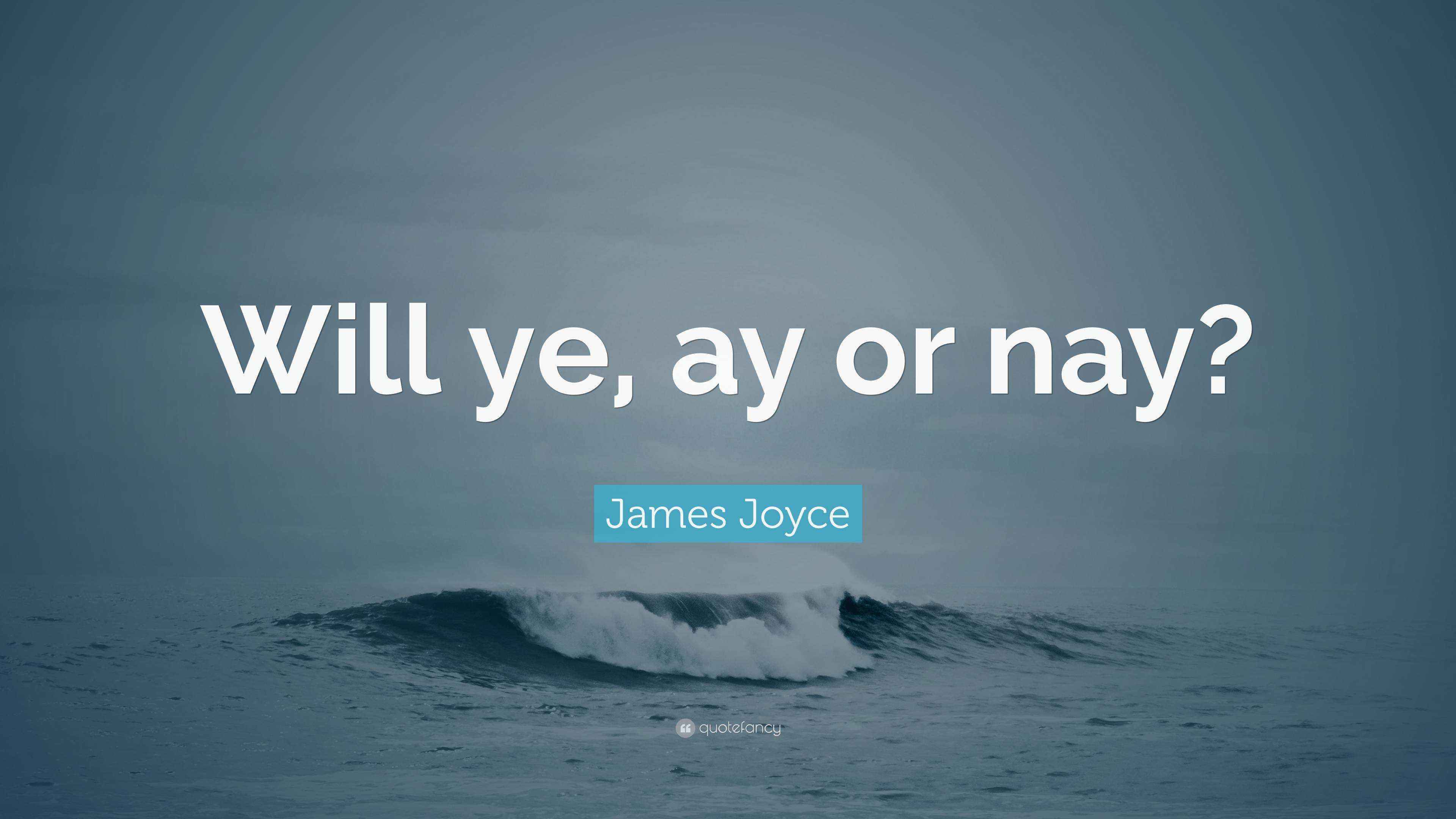 James Joyce Quote: “Will ye, ay or nay?”