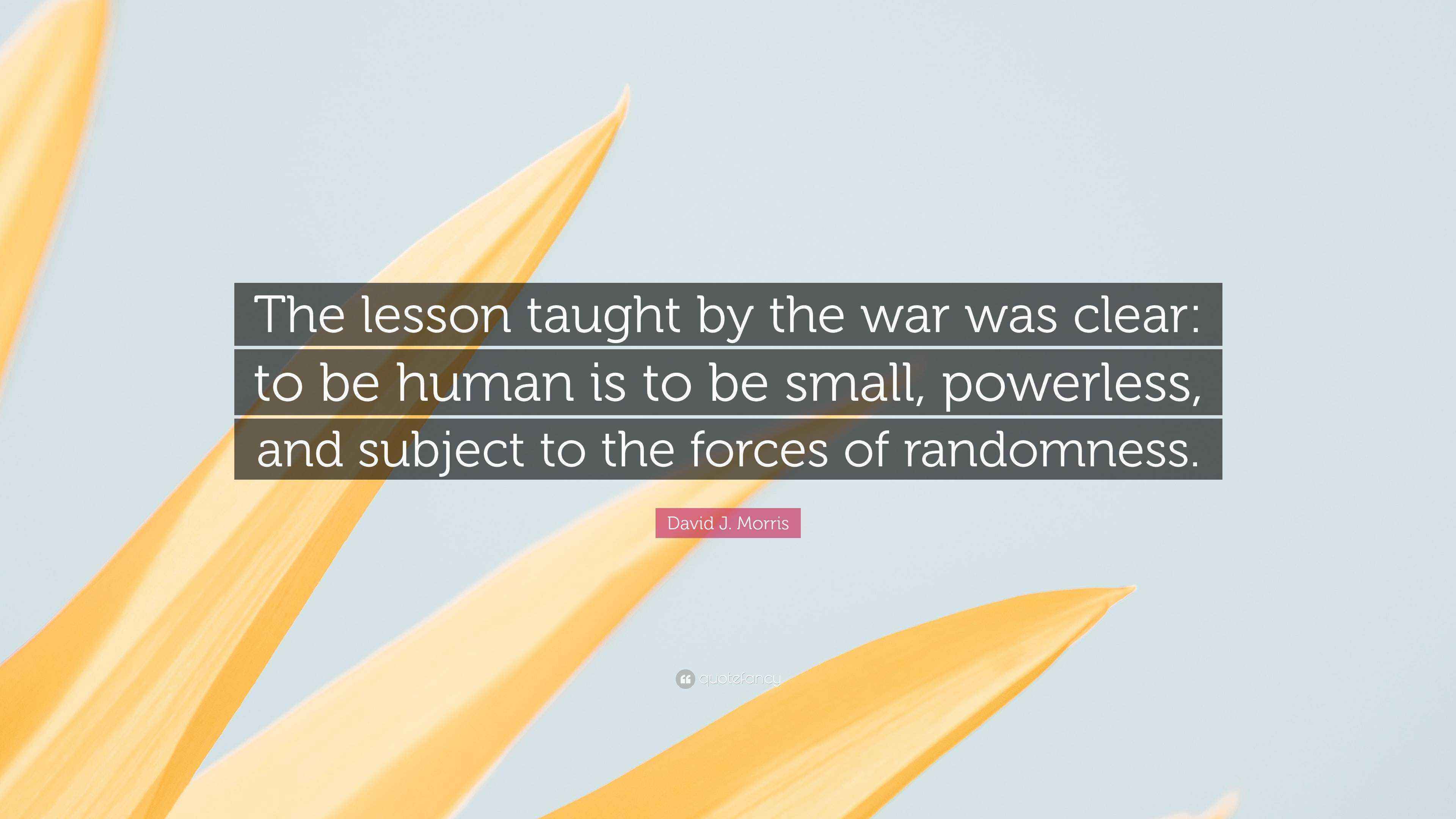 David J. Morris Quote: “The lesson taught by the war was clear: to be ...