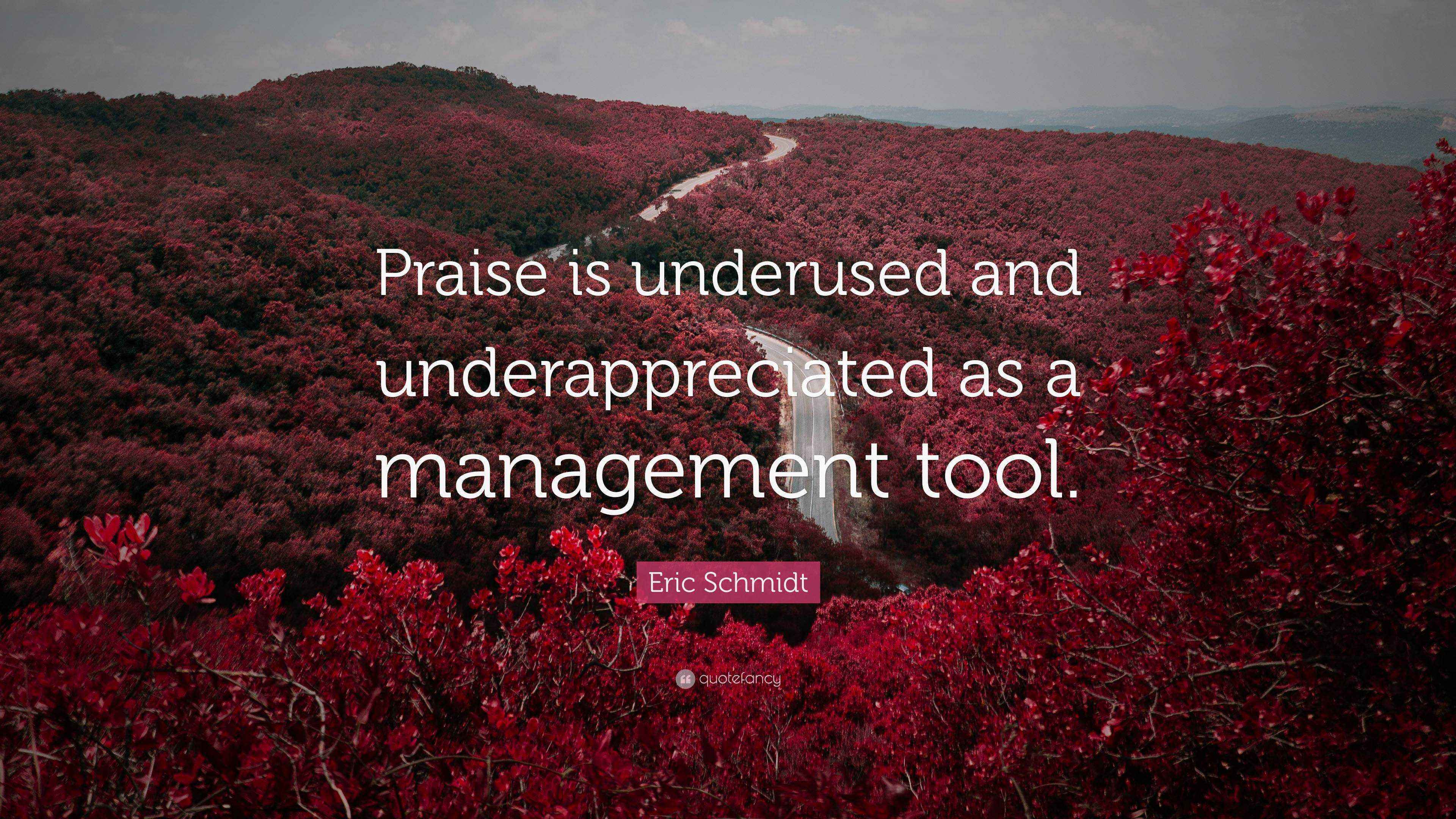 Eric Schmidt Quote: “Praise is underused and underappreciated as a ...
