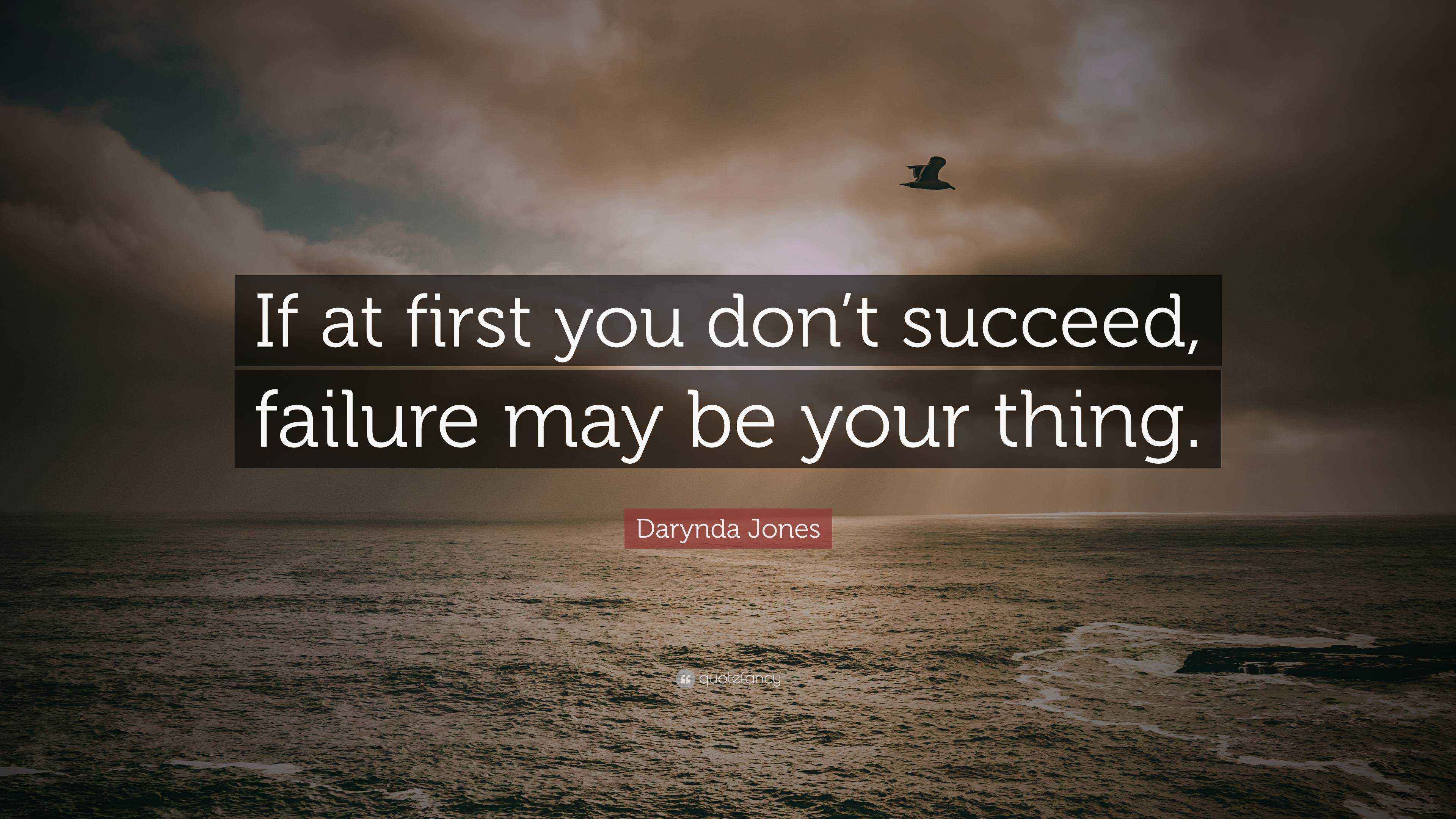 Darynda Jones Quote: “If at first you don’t succeed, failure may be ...