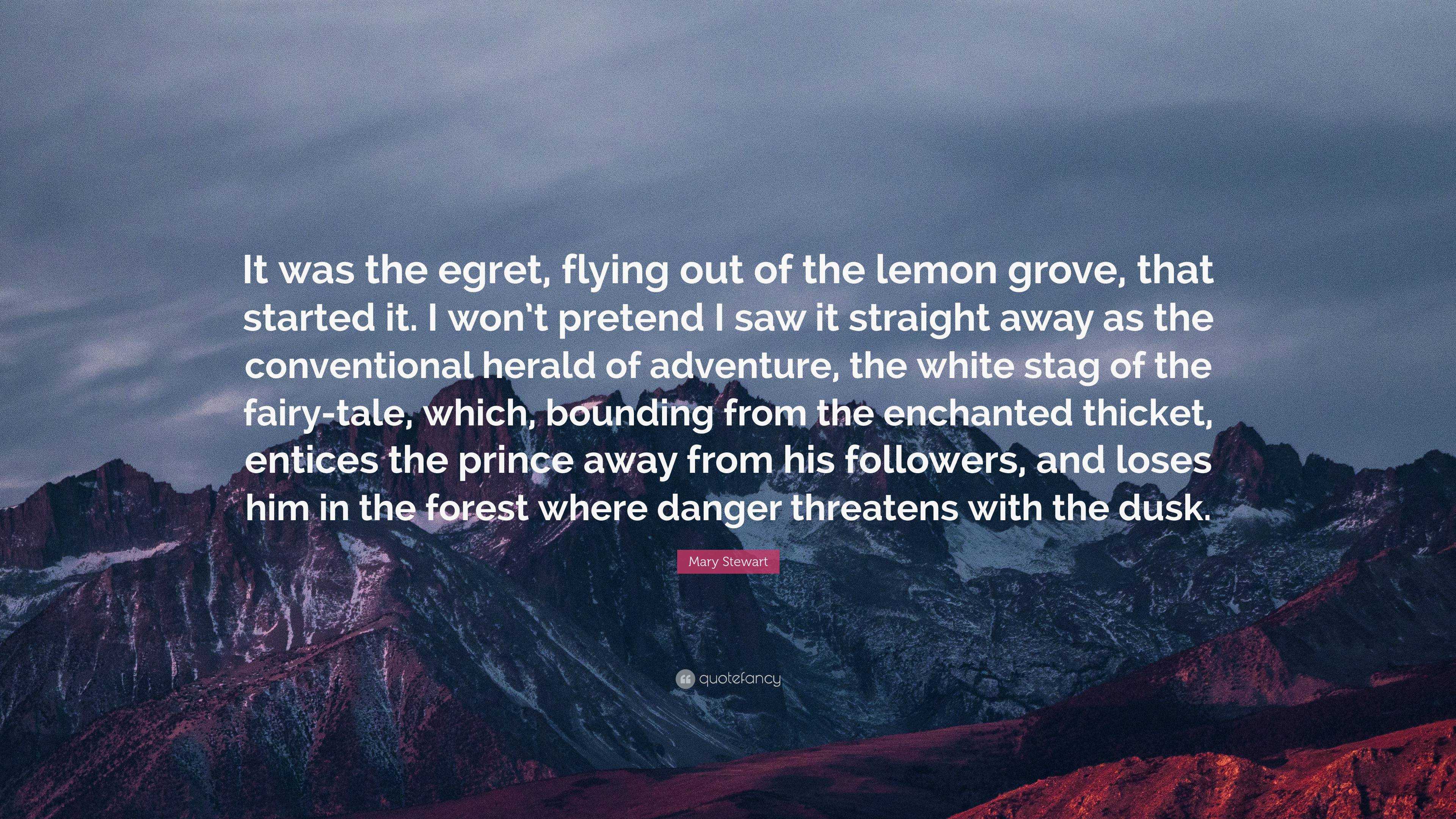 Mary Stewart Quote: “It was the egret, flying out of the lemon grove ...
