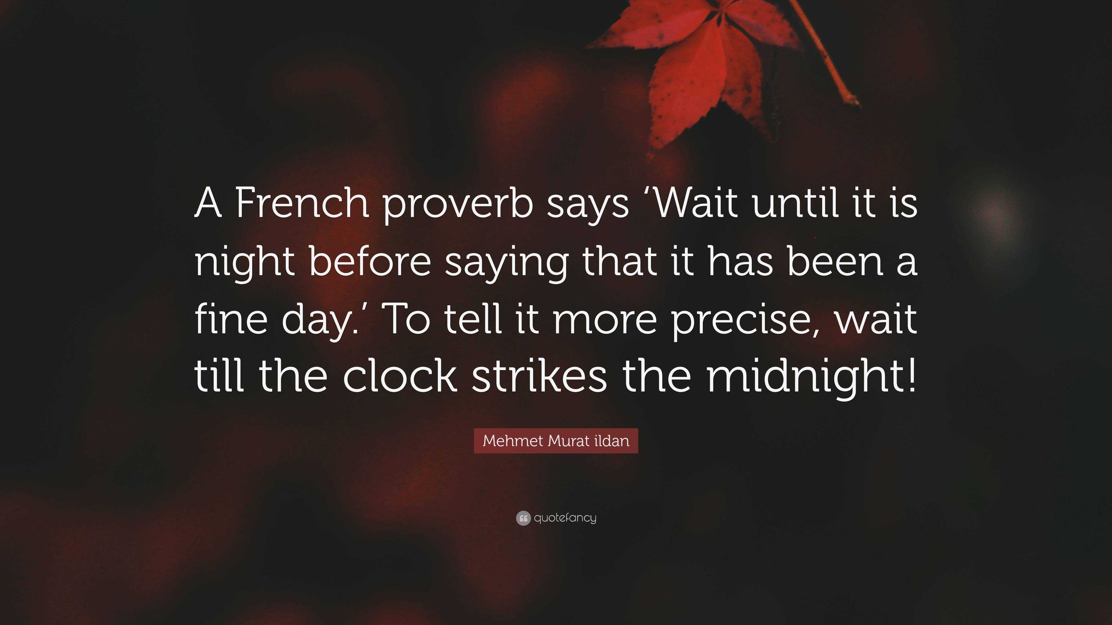 Mehmet Murat ildan Quote: “A French proverb says ‘Wait until it is ...