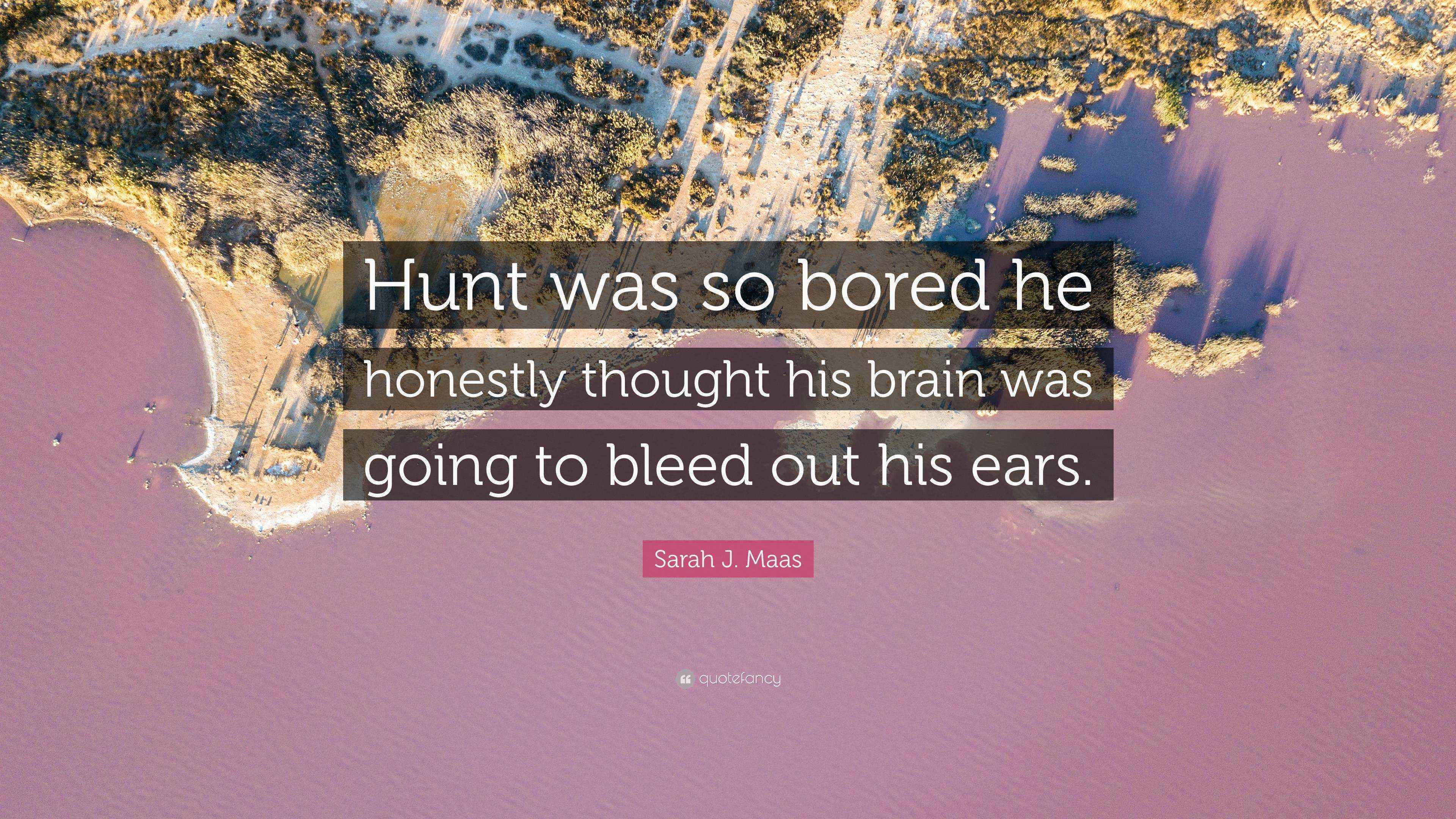 Sarah J. Maas Quote: “Hunt was so bored he honestly thought his brain ...