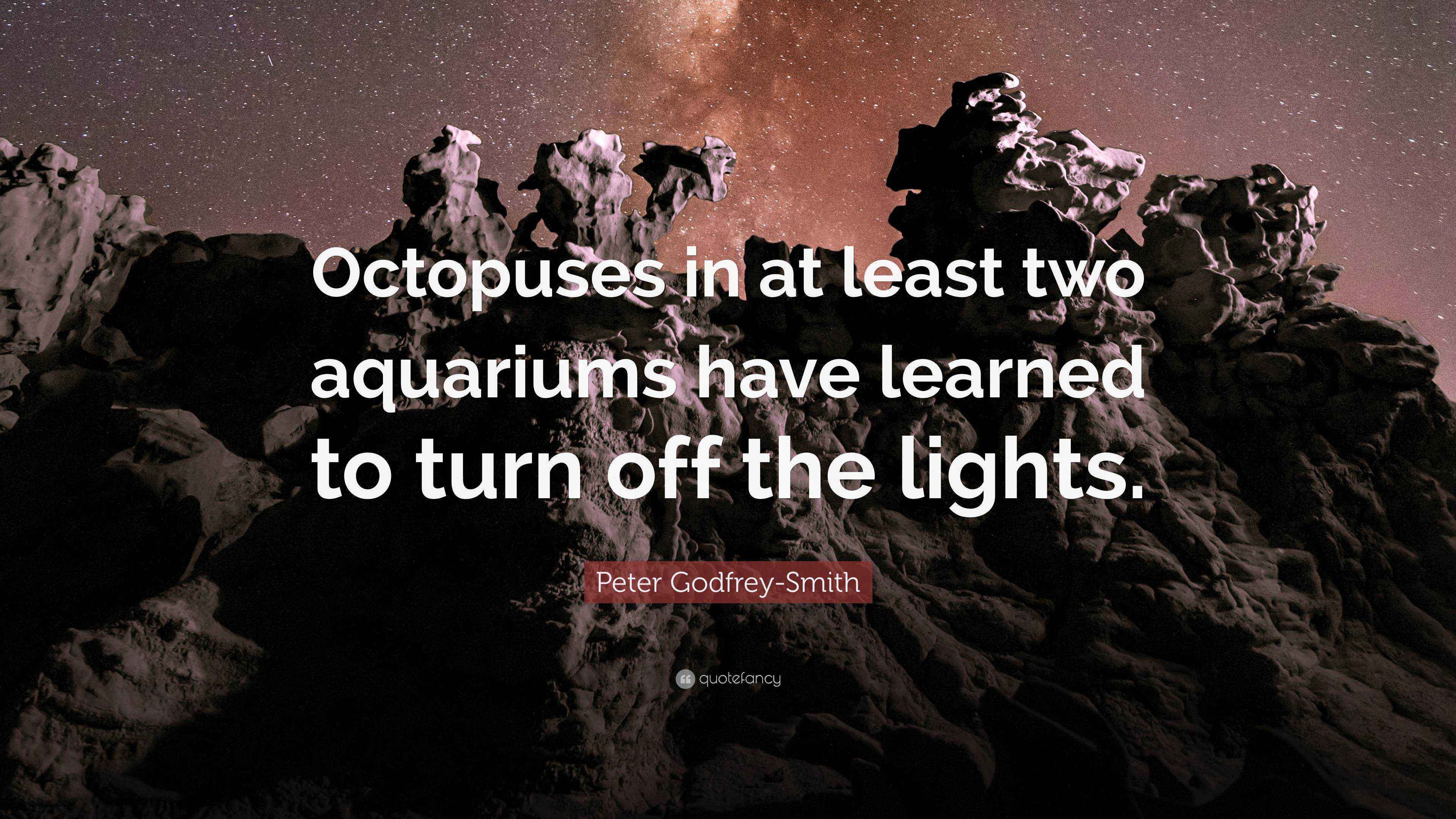 Peter Godfrey-Smith Quote: “Octopuses in at least two aquariums have ...