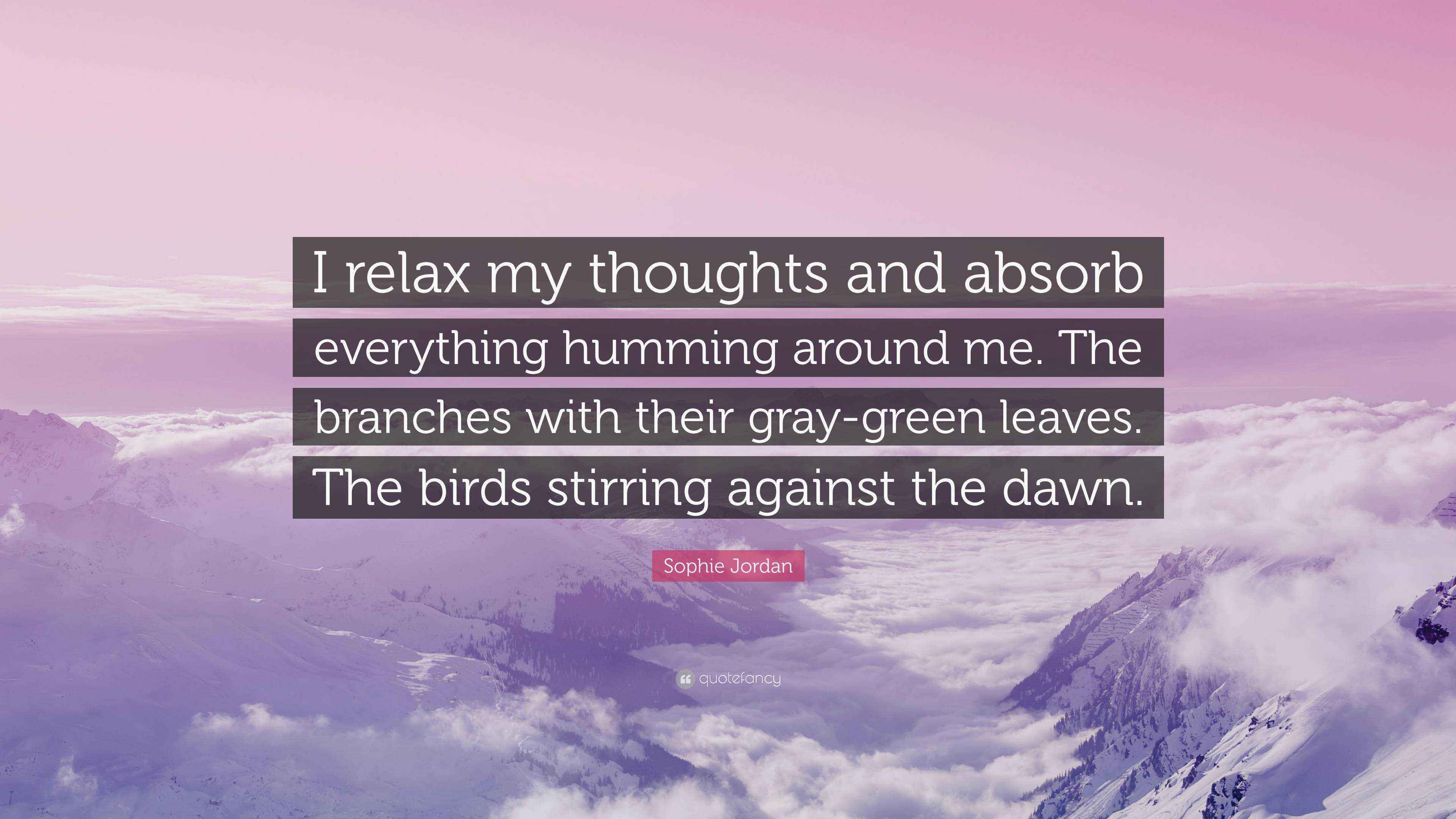 Sophie Jordan Quote: “I relax my thoughts and absorb everything humming ...
