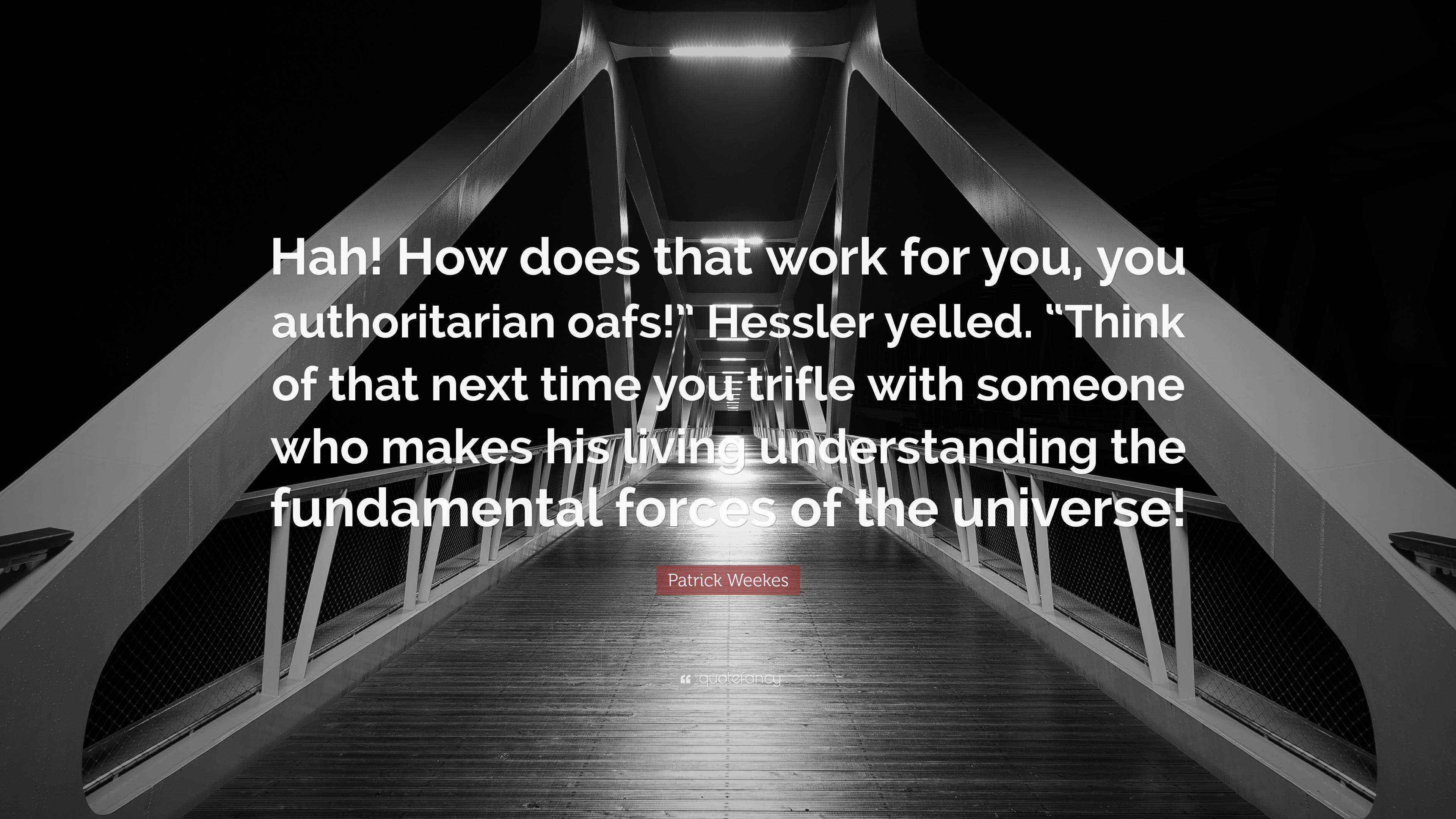 Patrick Weekes Quote: “Hah! How does that work for you, you ...