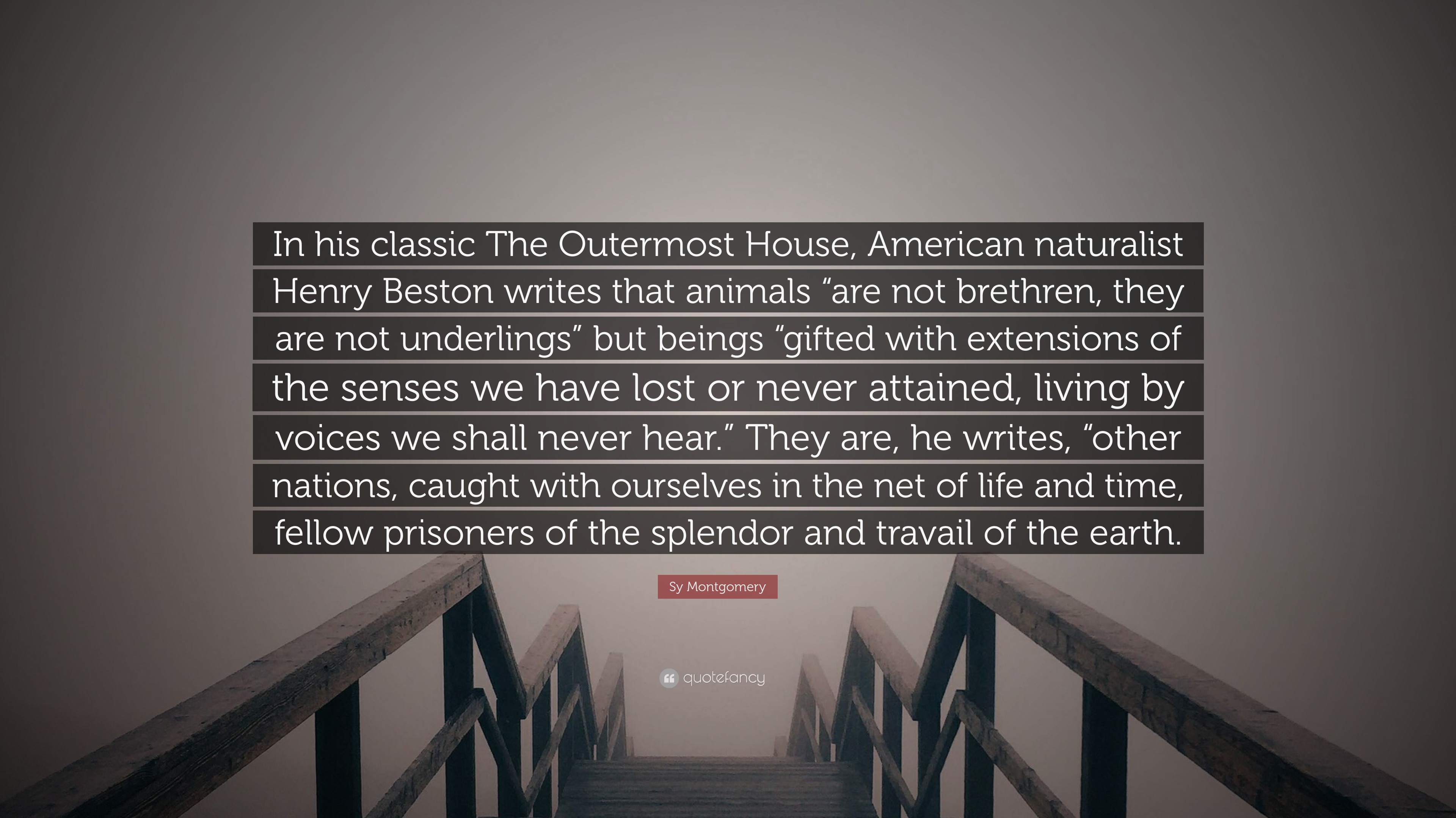 Sy Montgomery Quote: “In his classic The Outermost House, American ...