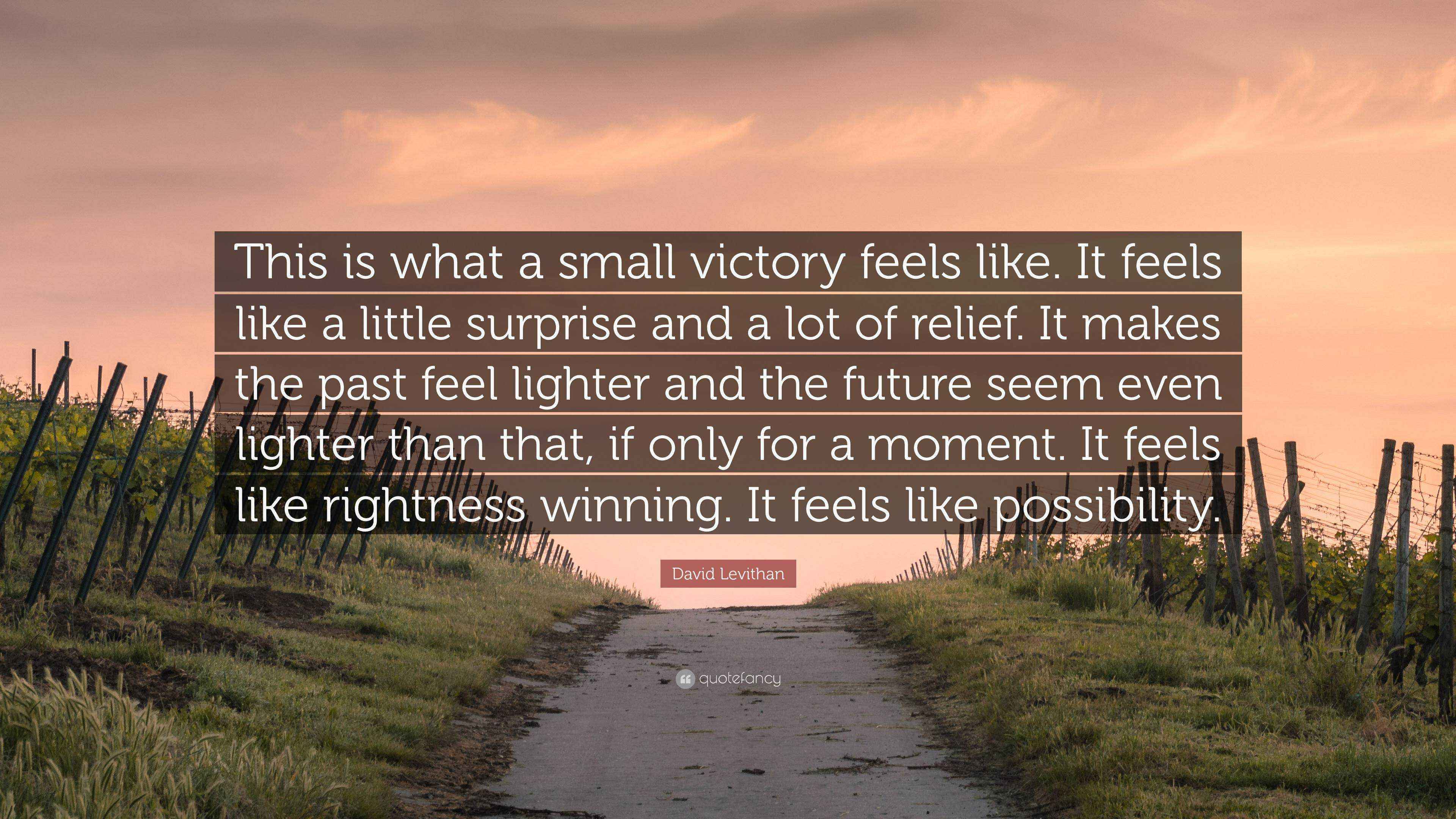 David Levithan Quote: “This is what a small victory feels like. It ...