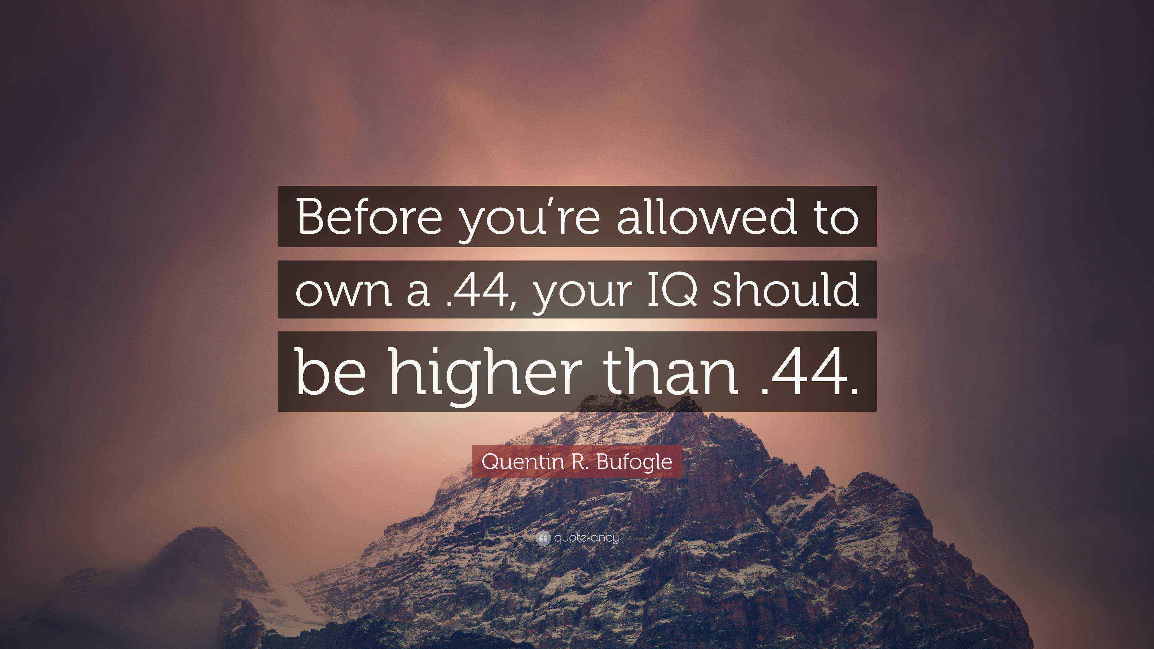 Quentin R. Bufogle Quote: “Before you’re allowed to own a .44, your IQ ...
