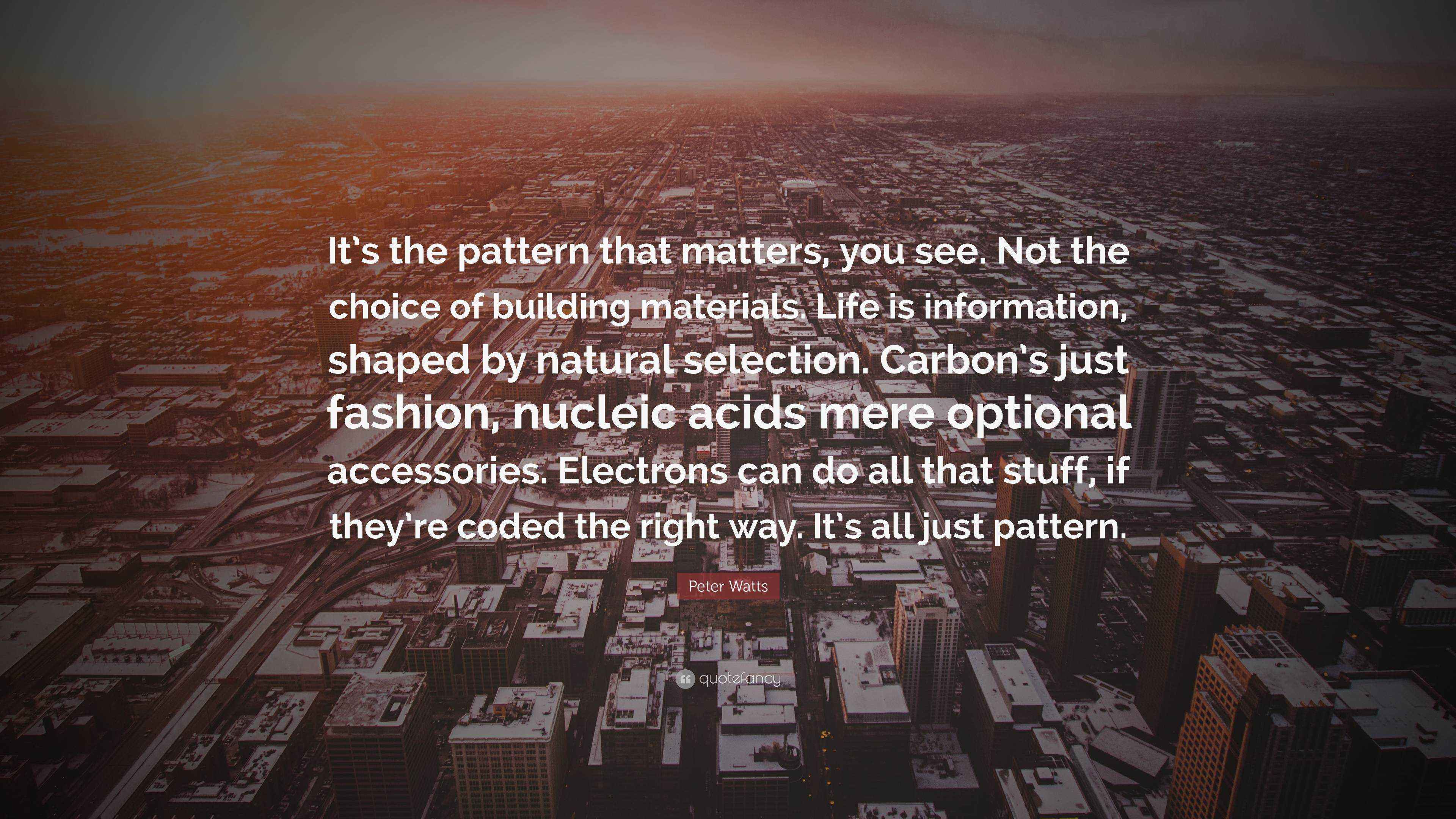 Peter Watts Quote: “It’s the pattern that matters, you see. Not the ...