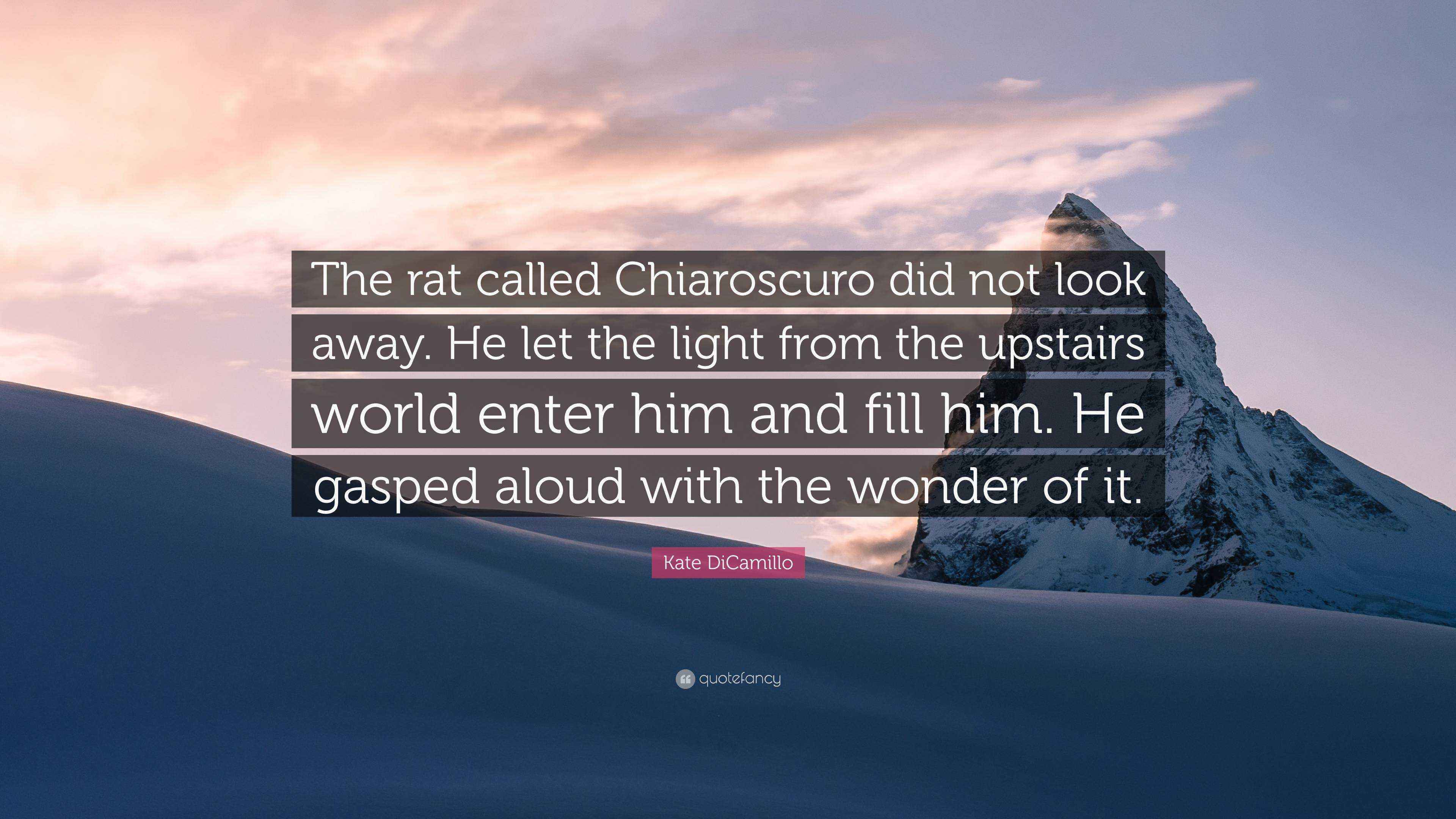 Kate DiCamillo Quote: “The rat called Chiaroscuro did not look away. He ...