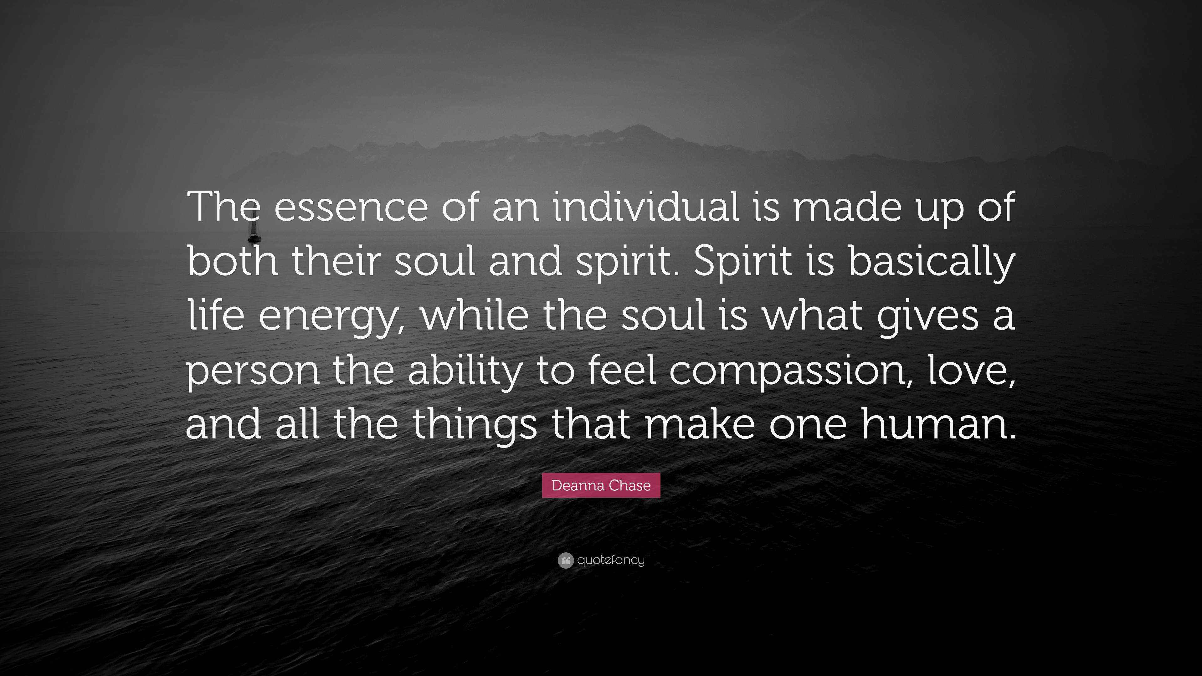 Deanna Chase Quote: “The essence of an individual is made up of both ...