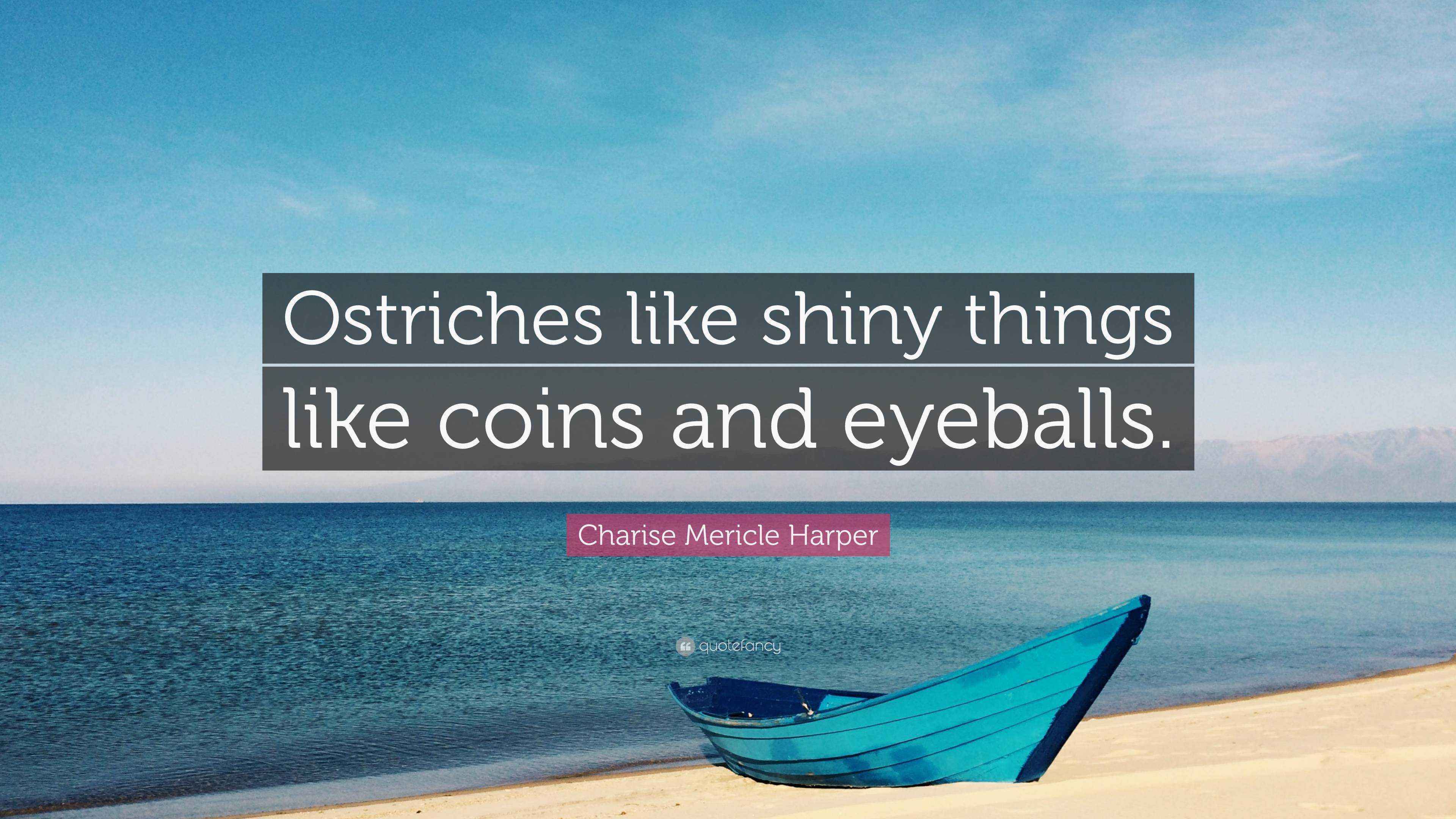 Charise Mericle Harper Quote: “Ostriches like shiny things like coins ...