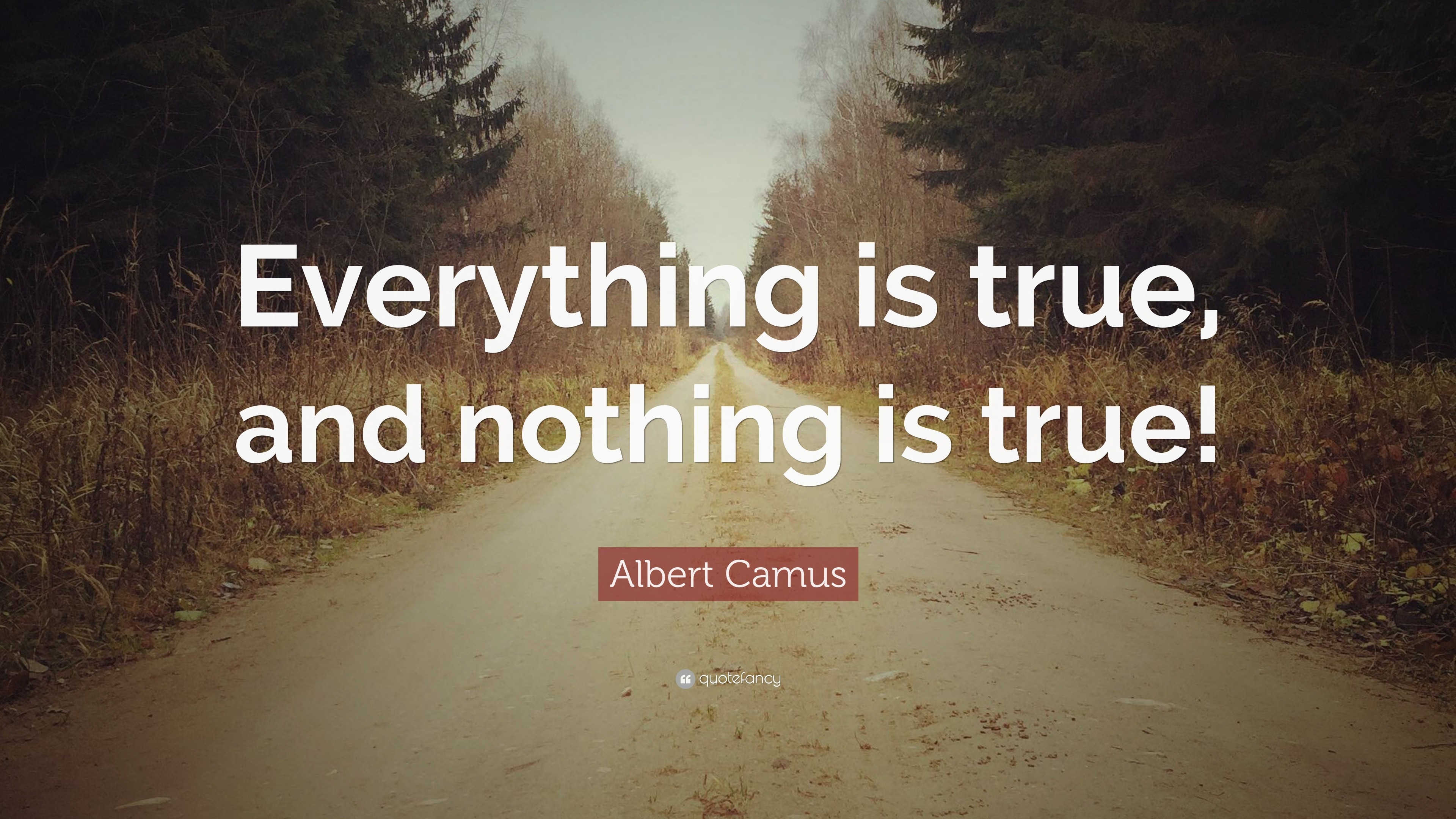 Albert Camus Quote: “Everything is true, and nothing is true!”