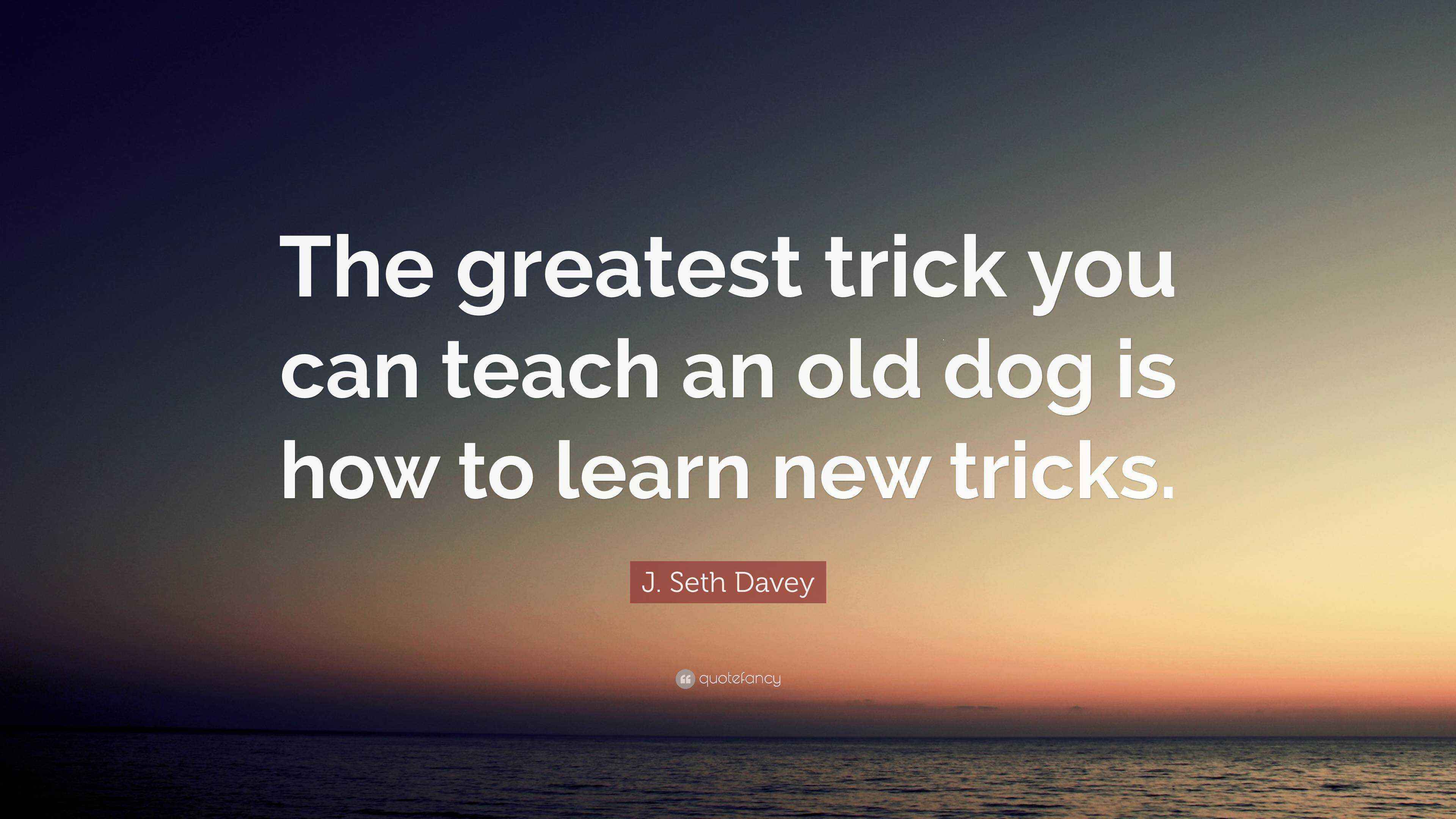J. Seth Davey Quote: “The greatest trick you can teach an old dog is ...