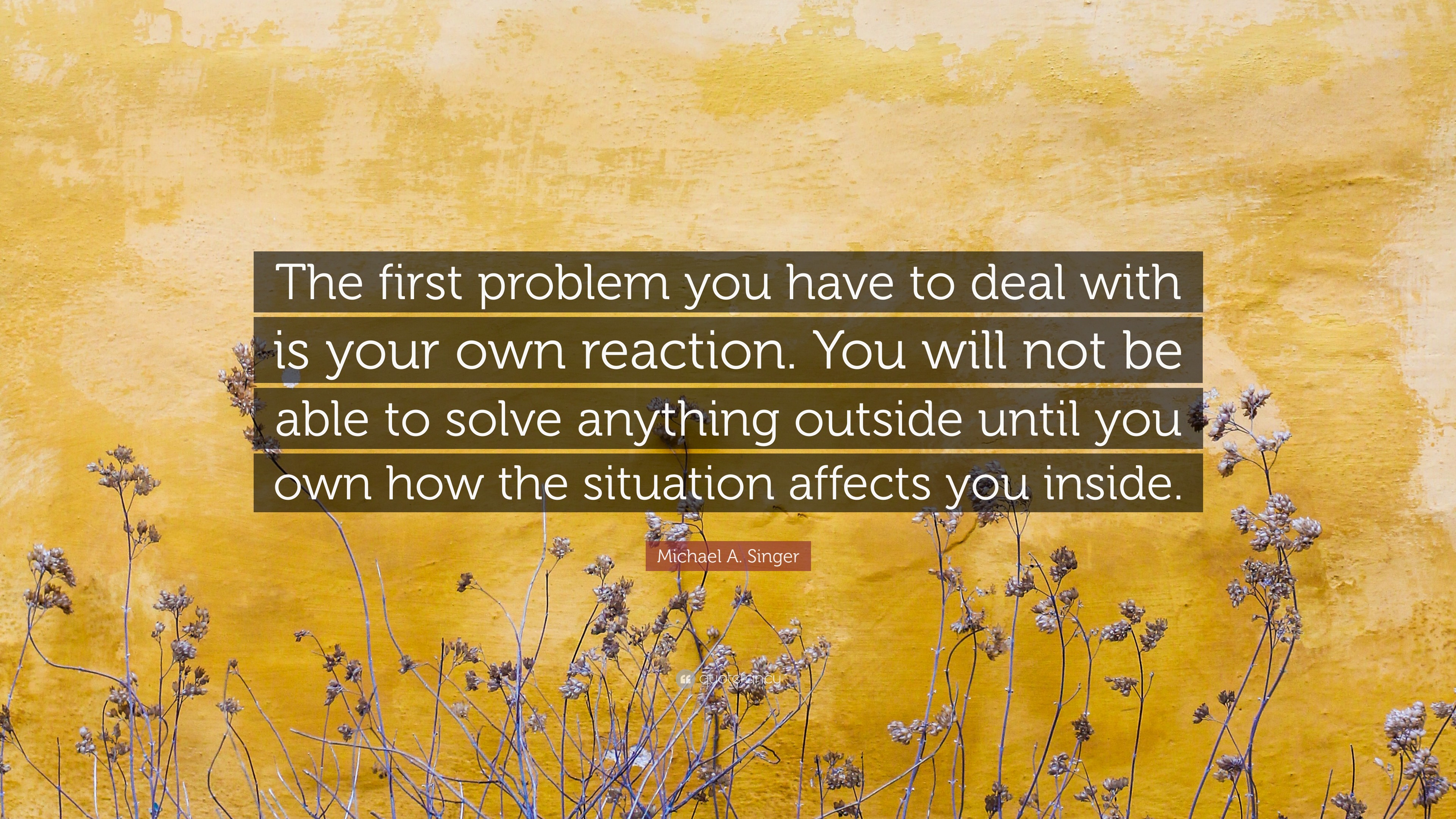 Michael A. Singer Quote: “The first problem you have to deal with is ...
