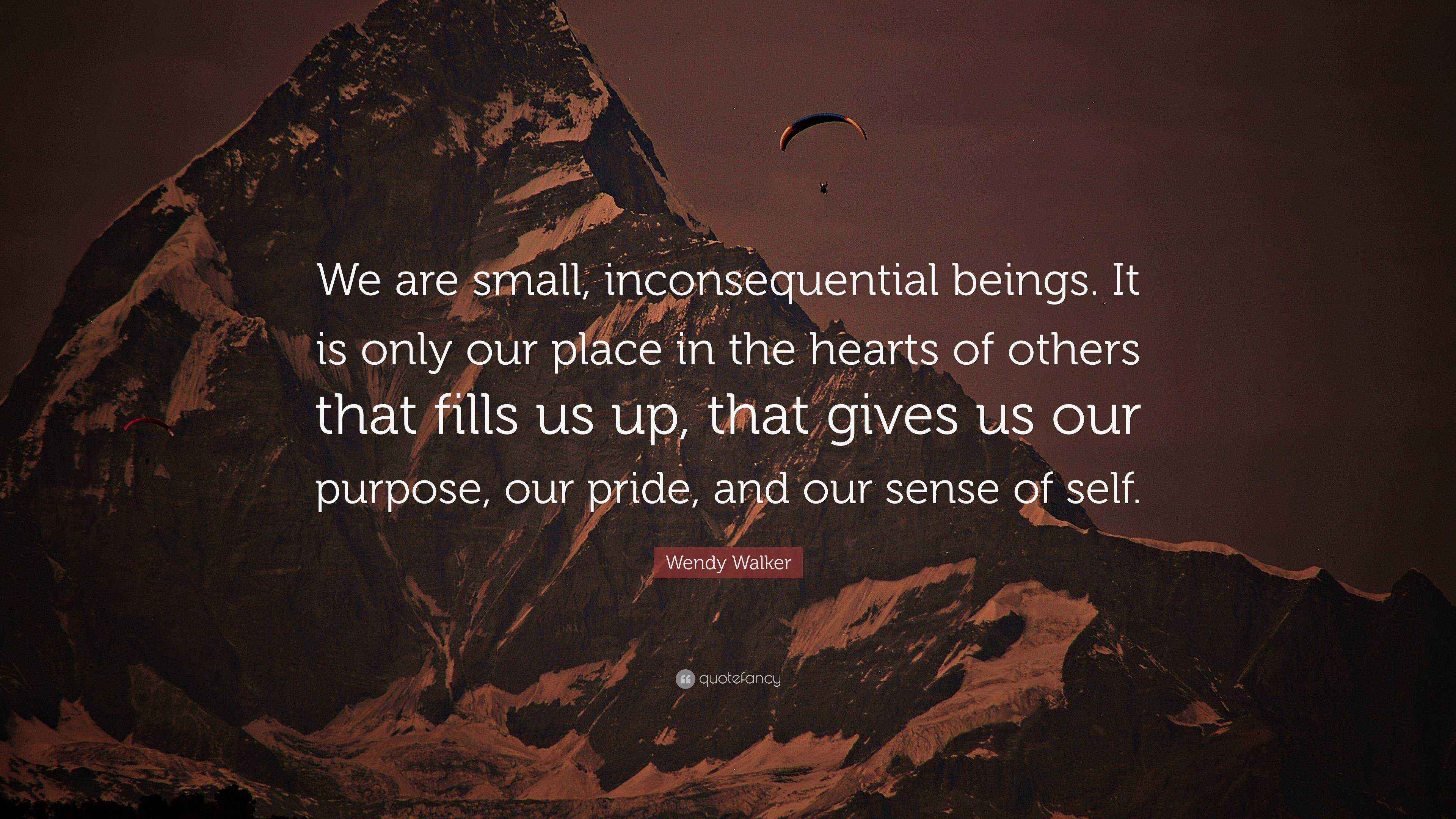 Wendy Walker Quote: “We are small, inconsequential beings. It is only ...