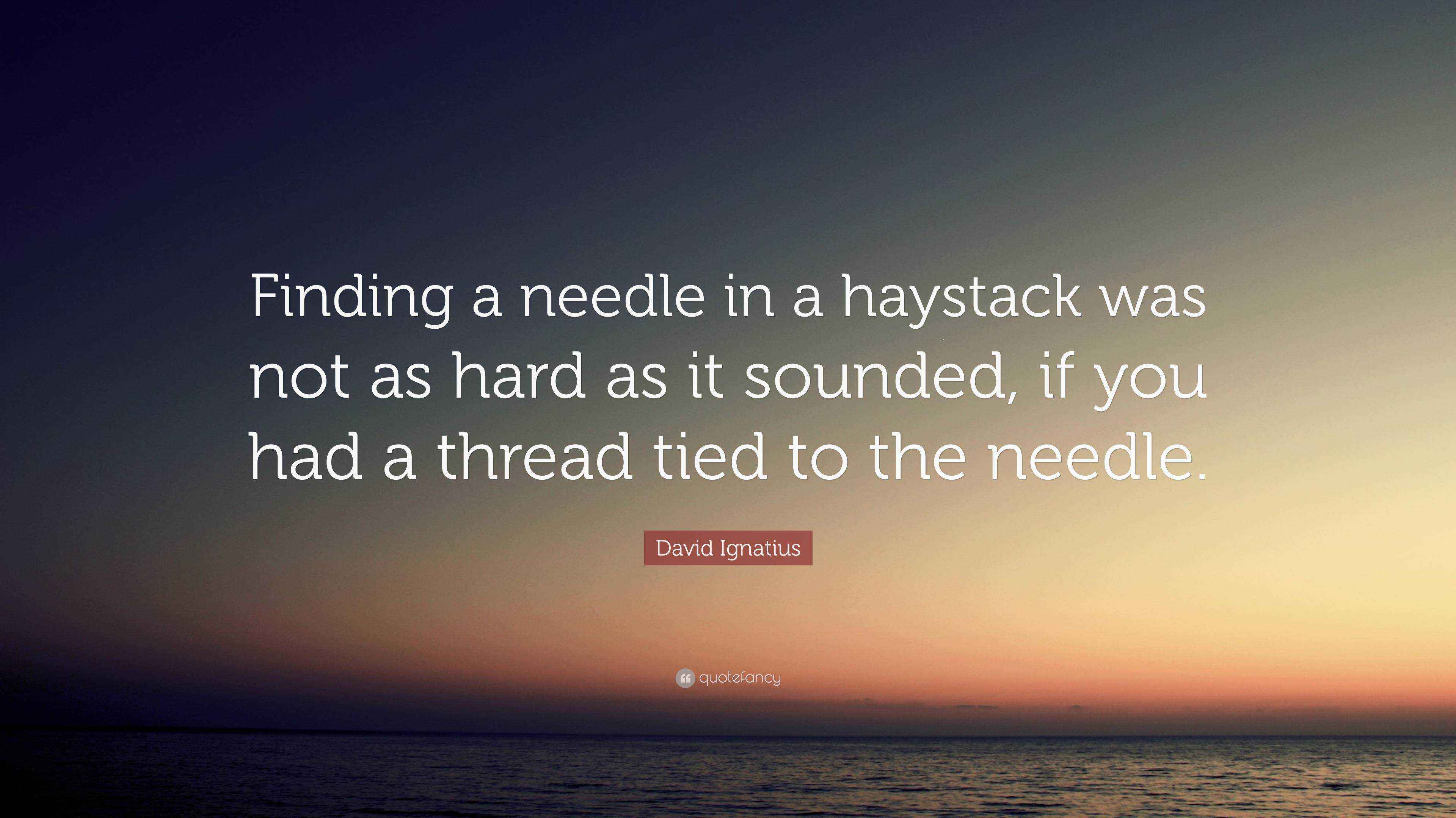 David Ignatius Quote: “Finding a needle in a haystack was not as hard ...