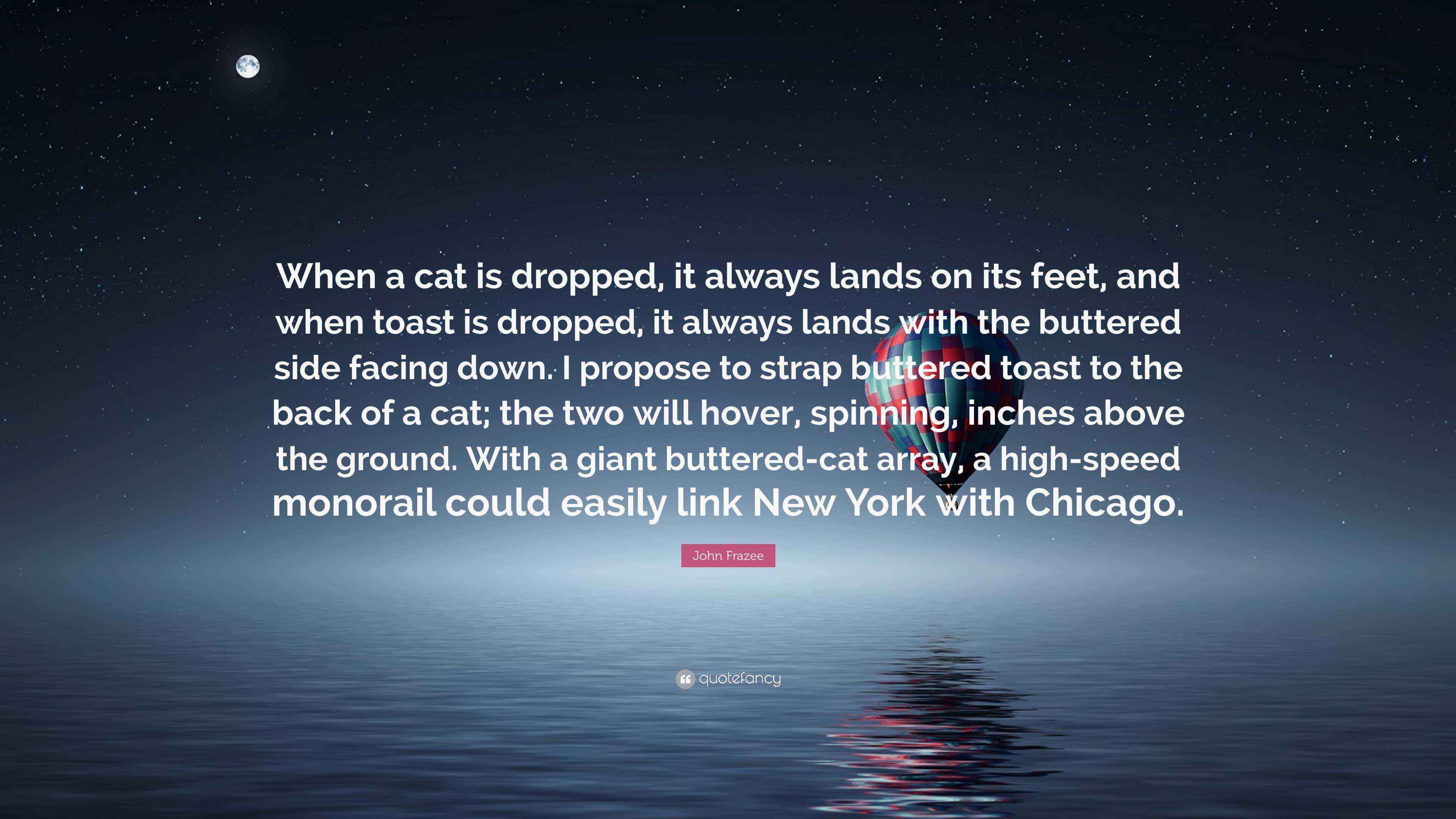 John Frazee Quote: “When a cat is dropped, it always lands on its feet ...