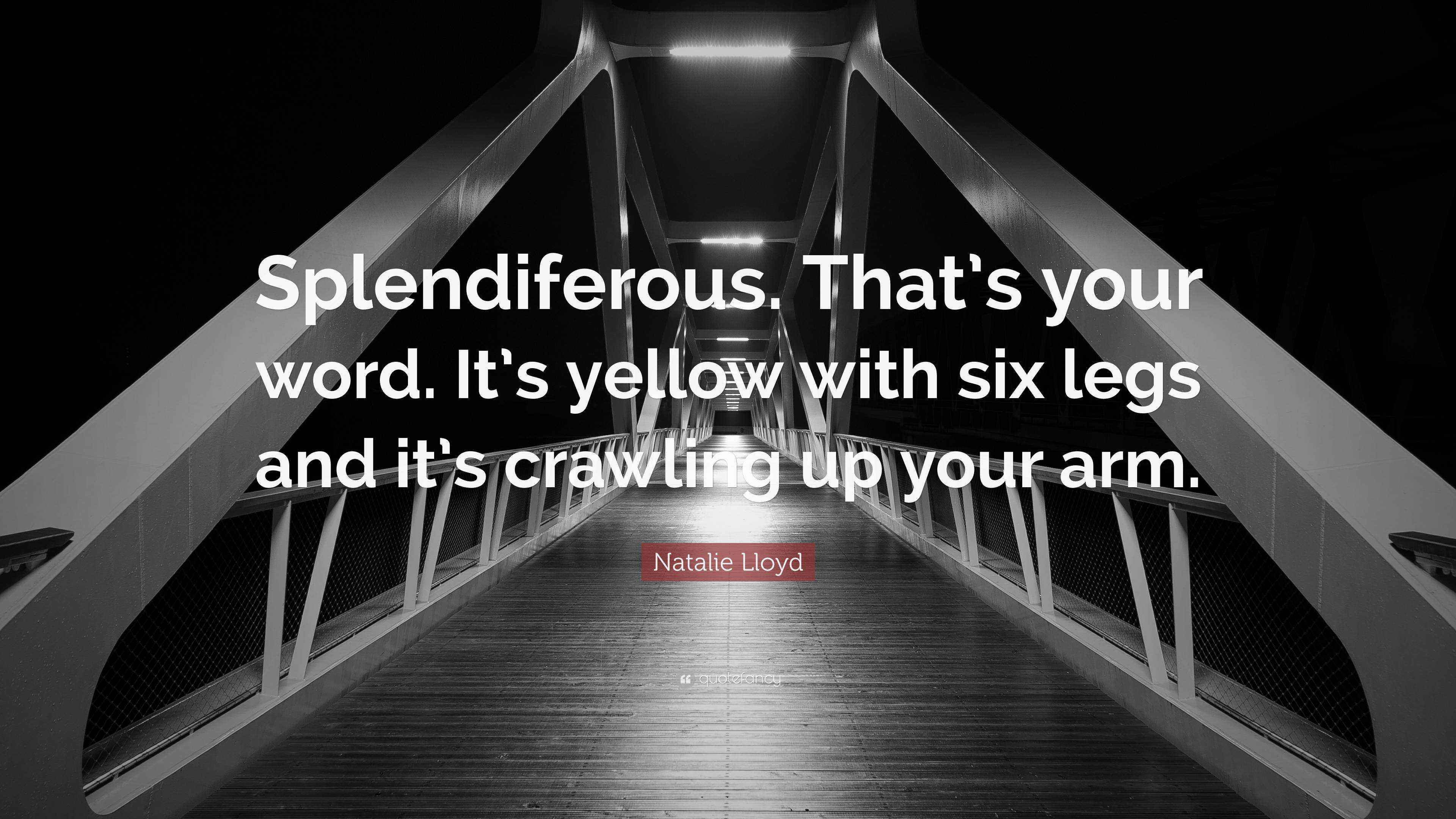 Natalie Lloyd Quote: “Splendiferous. That’s your word. It’s yellow with ...
