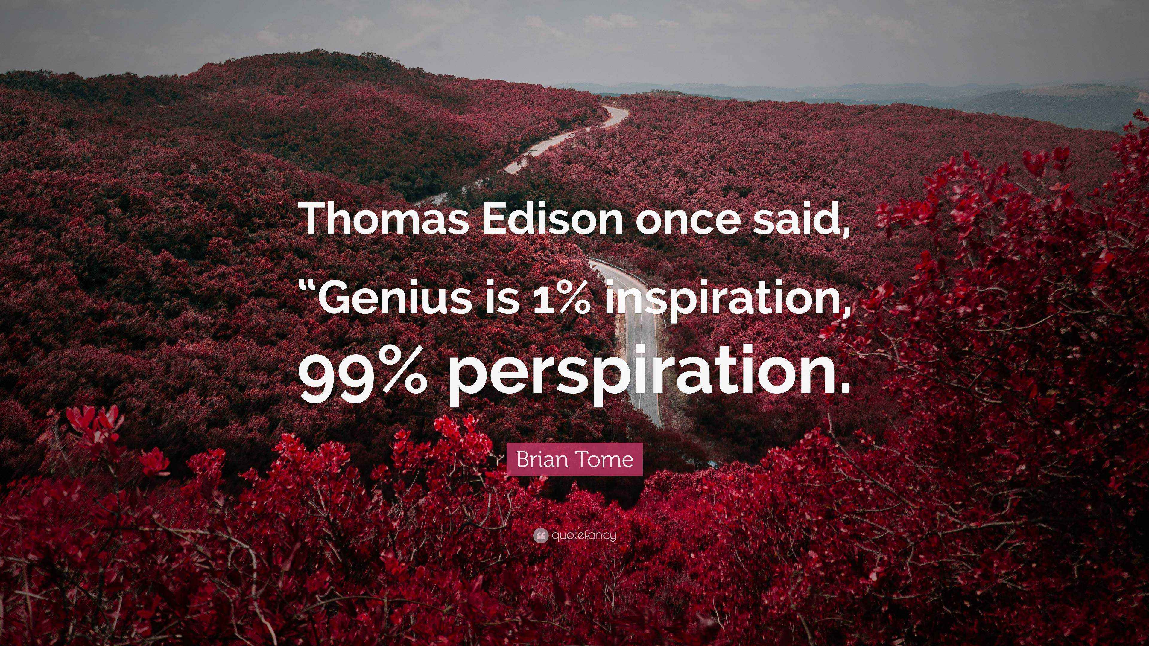 Thomas Edison Quotes Genius