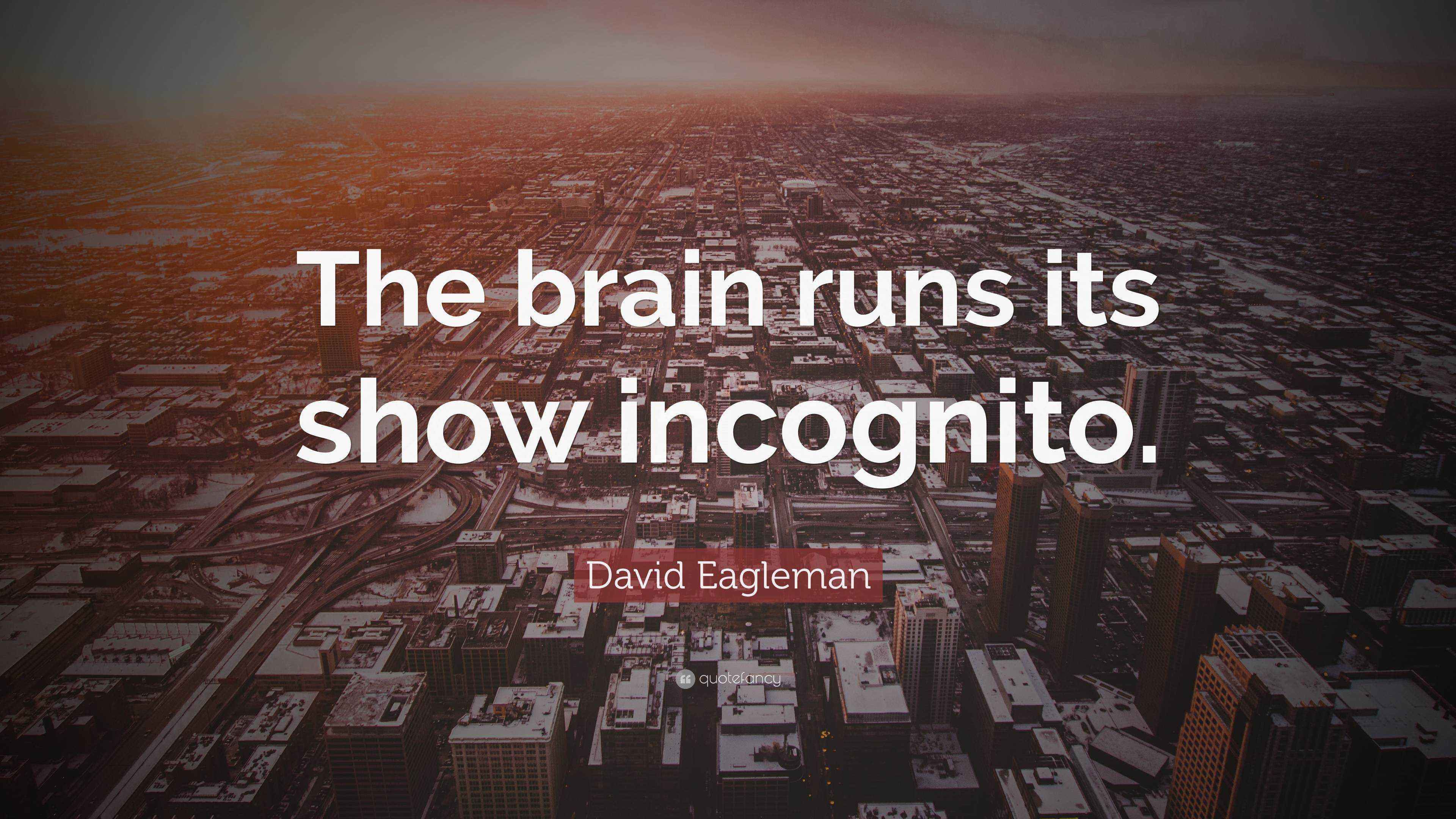 David Eagleman Incognito Quotes Praise For Julian Jaynes's Bicameral
