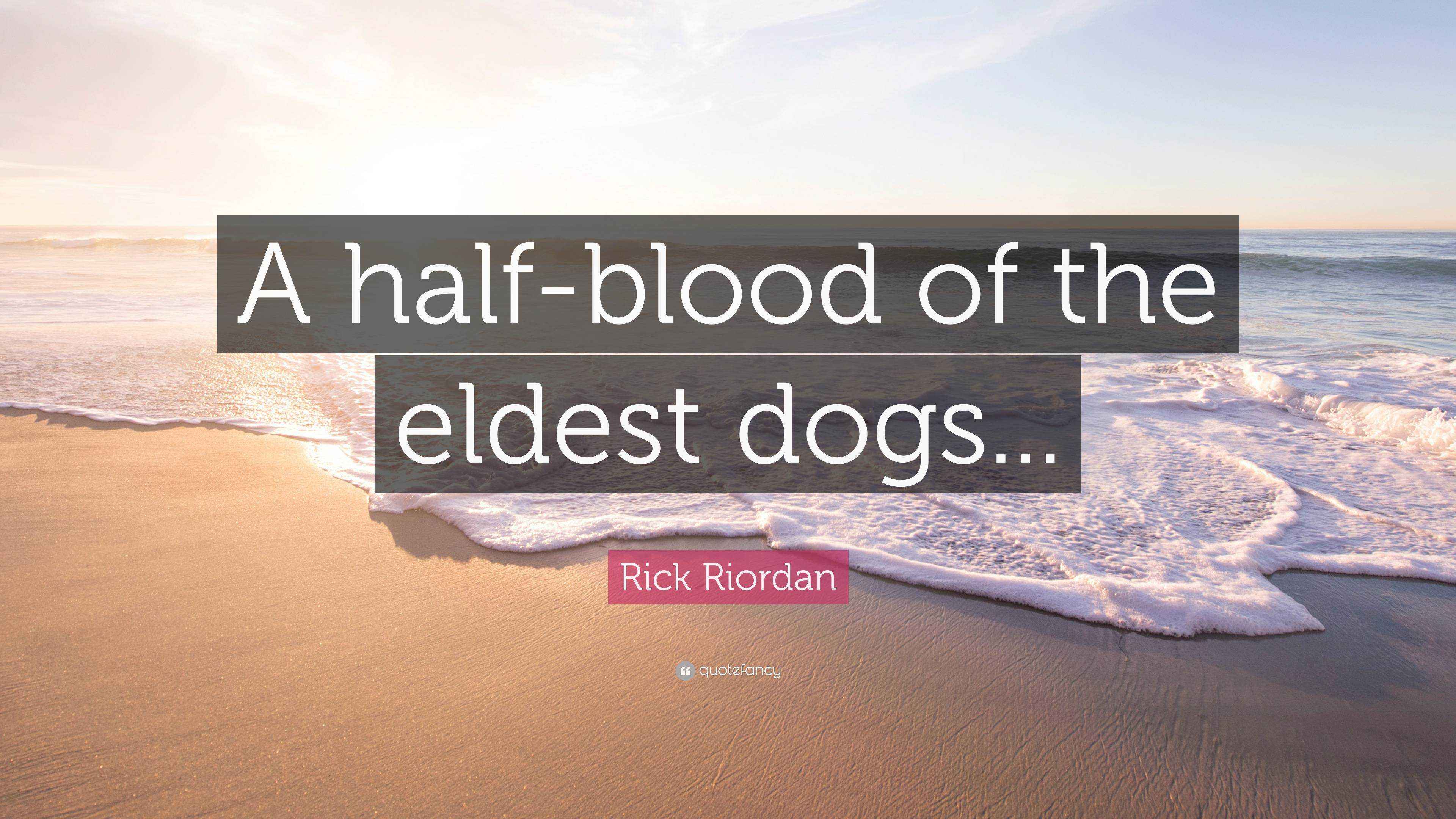 Rick Riordan Quote: “A half-blood of the eldest dogs...”