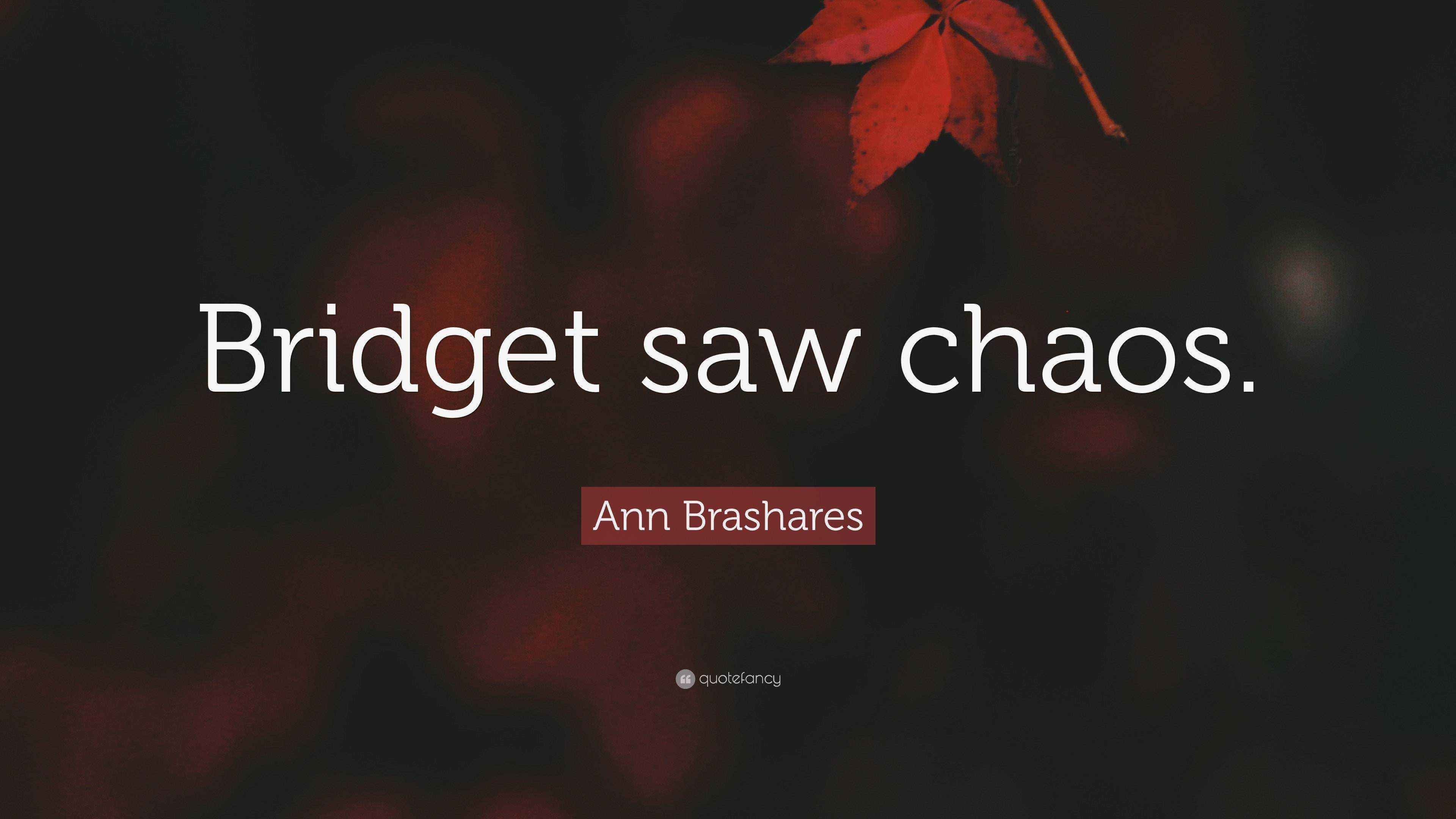 Ann Brashares Quote: “Bridget saw chaos.”