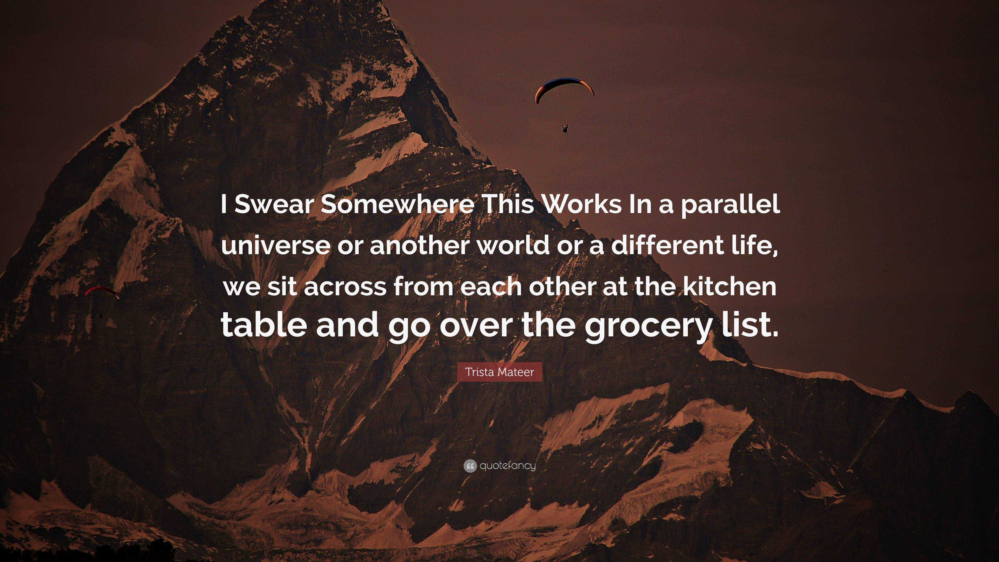 Trista Mateer Quote: “I Swear Somewhere This Works In a parallel ...