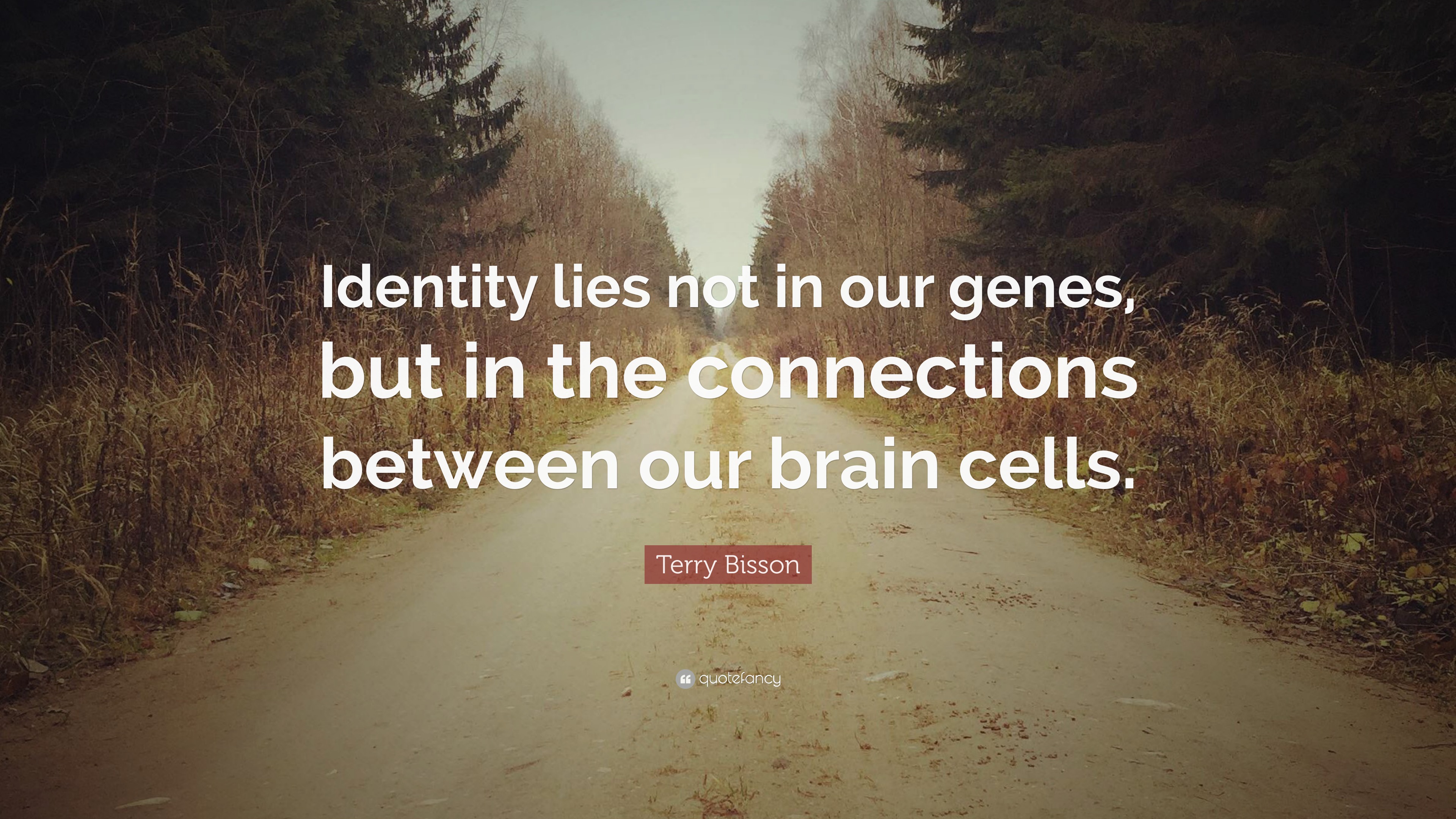 Terry Bisson Quote: “Identity lies not in our genes, but in the ...