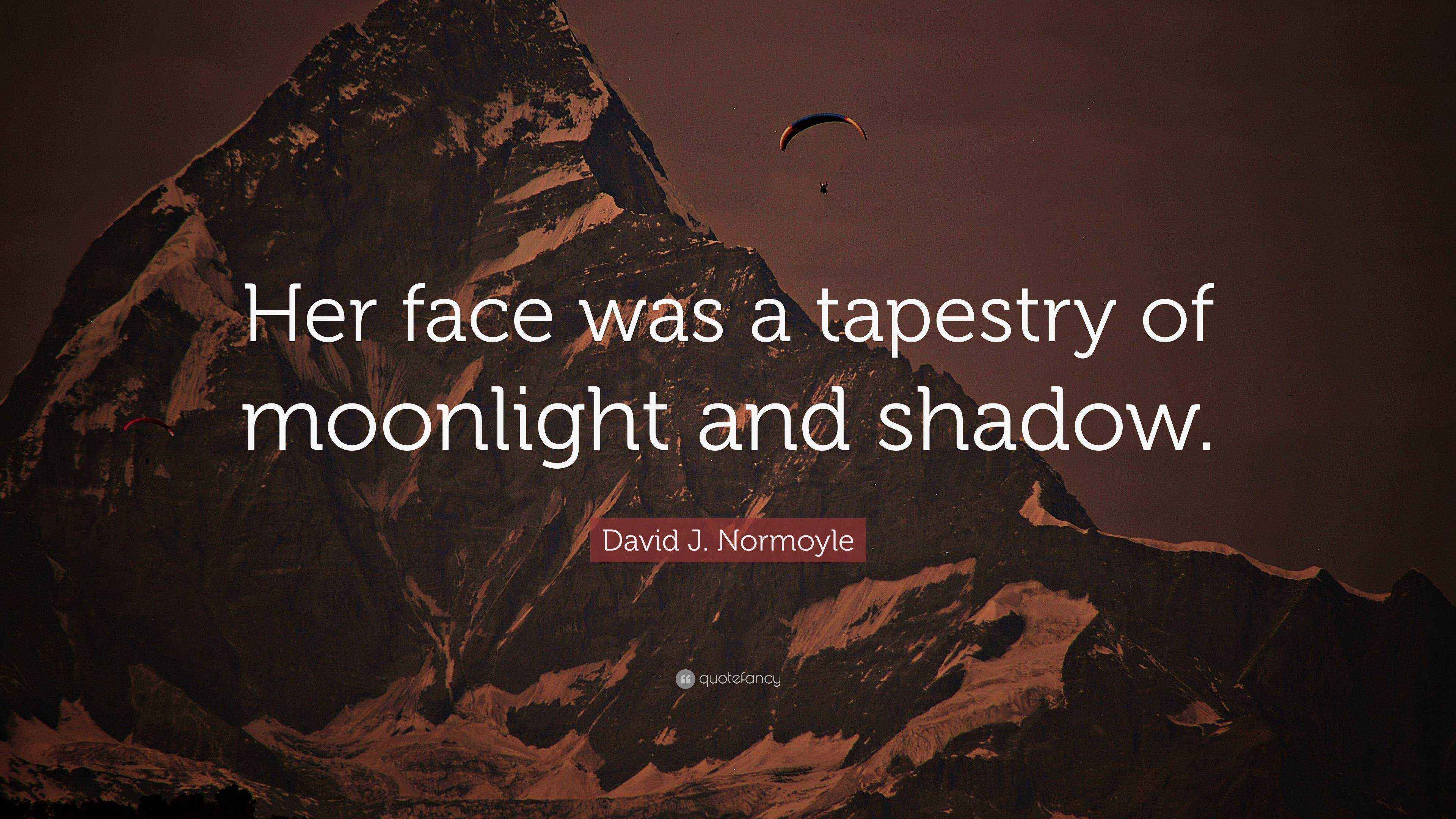 David J. Normoyle Quote: “Her face was a tapestry of moonlight and shadow.”