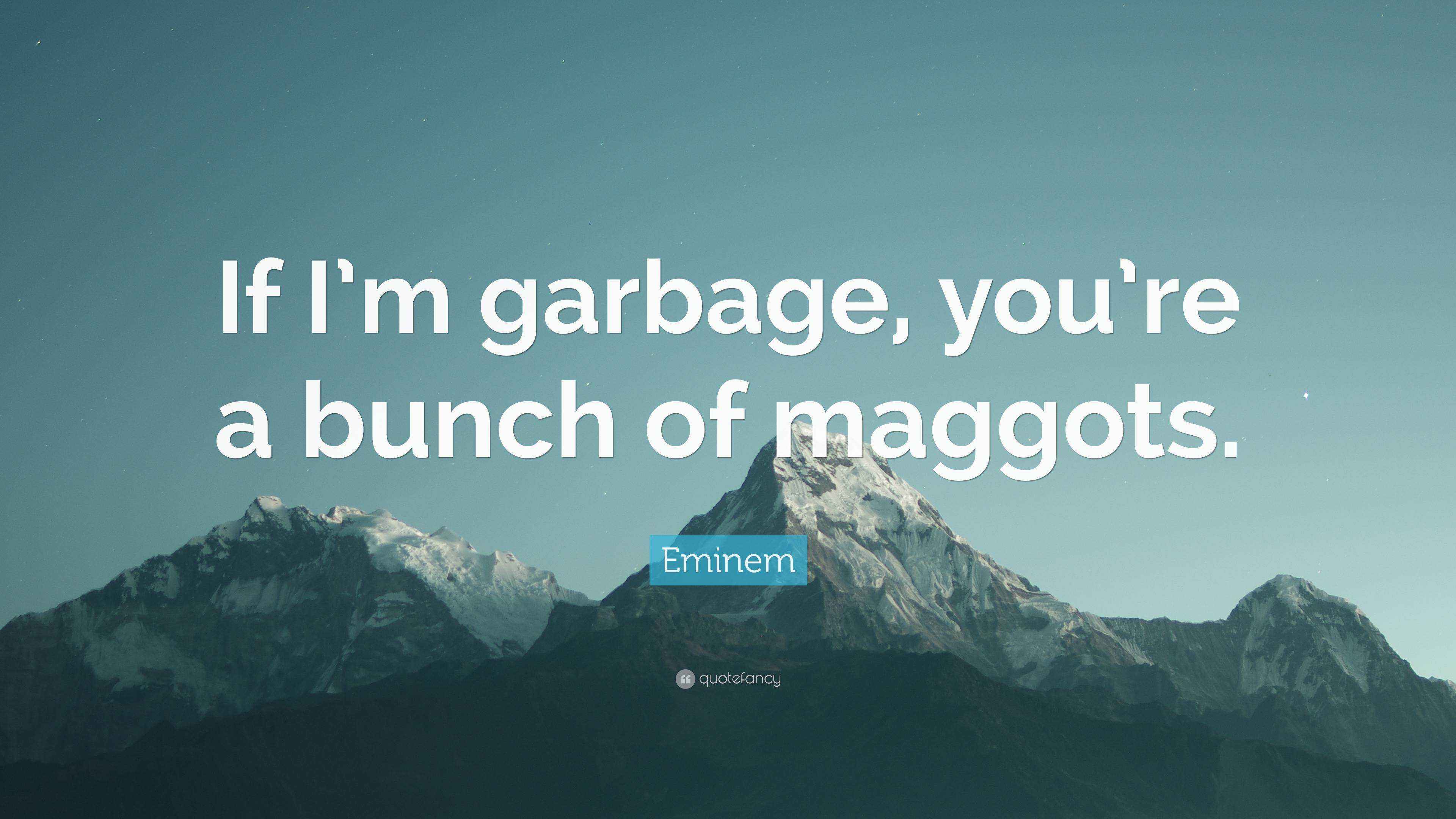 Eminem Quote: “If I’m garbage, you’re a bunch of maggots.”
