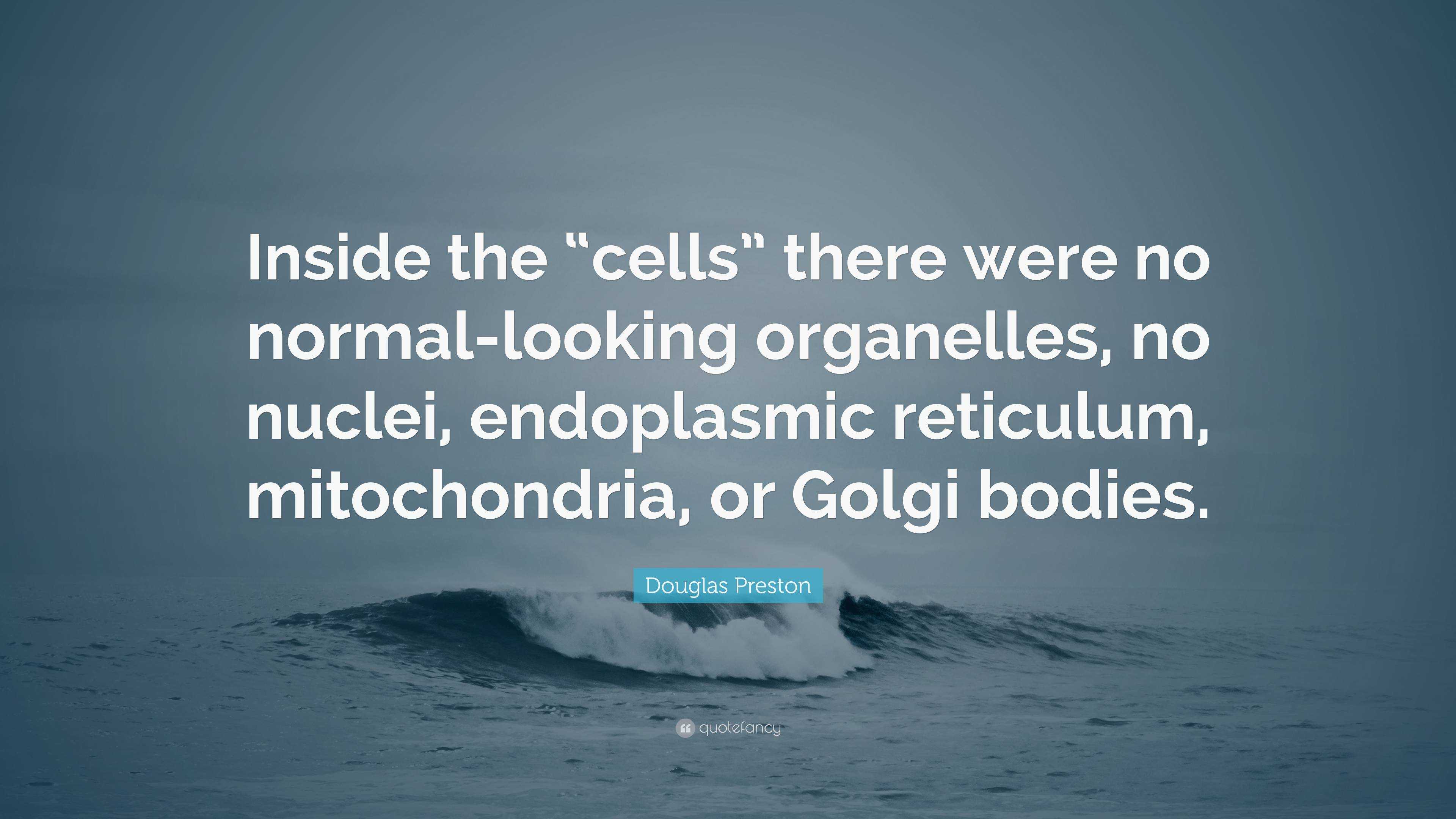 Douglas Preston Quote: “Inside the “cells” there were no normal-looking ...